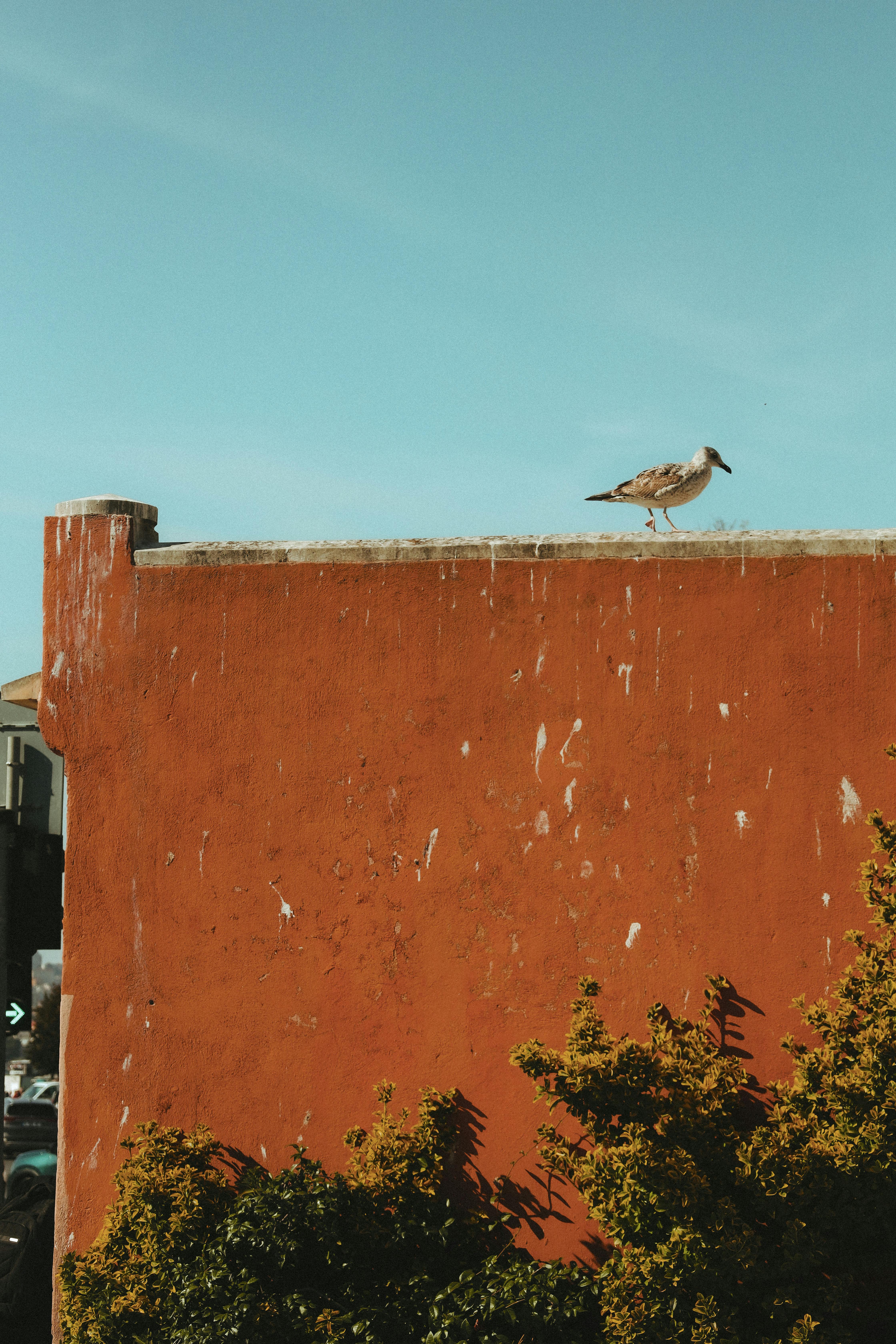 4k Pfp Photos, Download The BEST Free 4k Pfp Stock Photos & HD Images