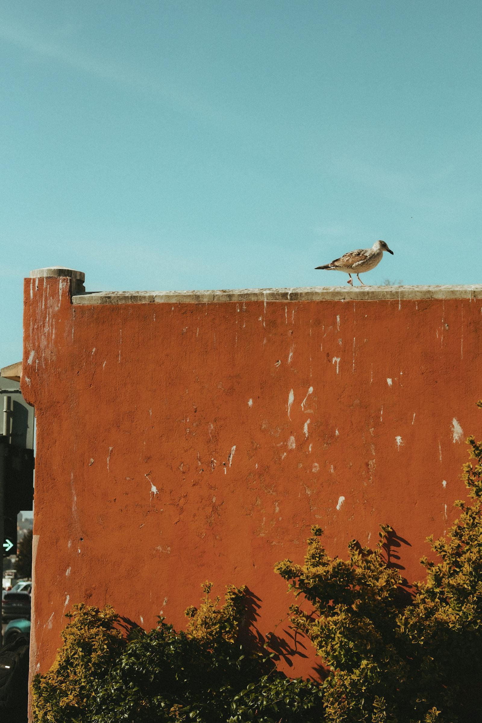 4k Pfp Photos, Download The BEST Free 4k Pfp Stock Photos & HD Images