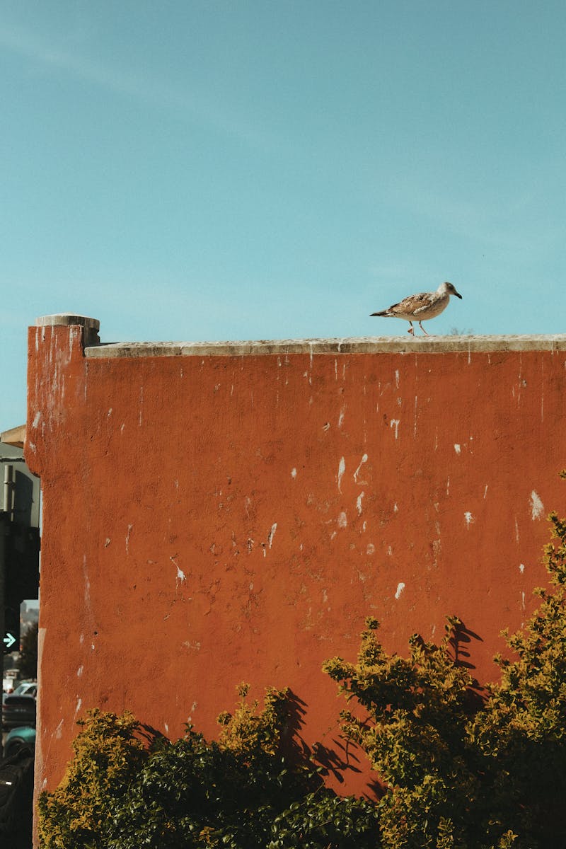 4k Pfp Photos, Download The BEST Free 4k Pfp Stock Photos & HD Images