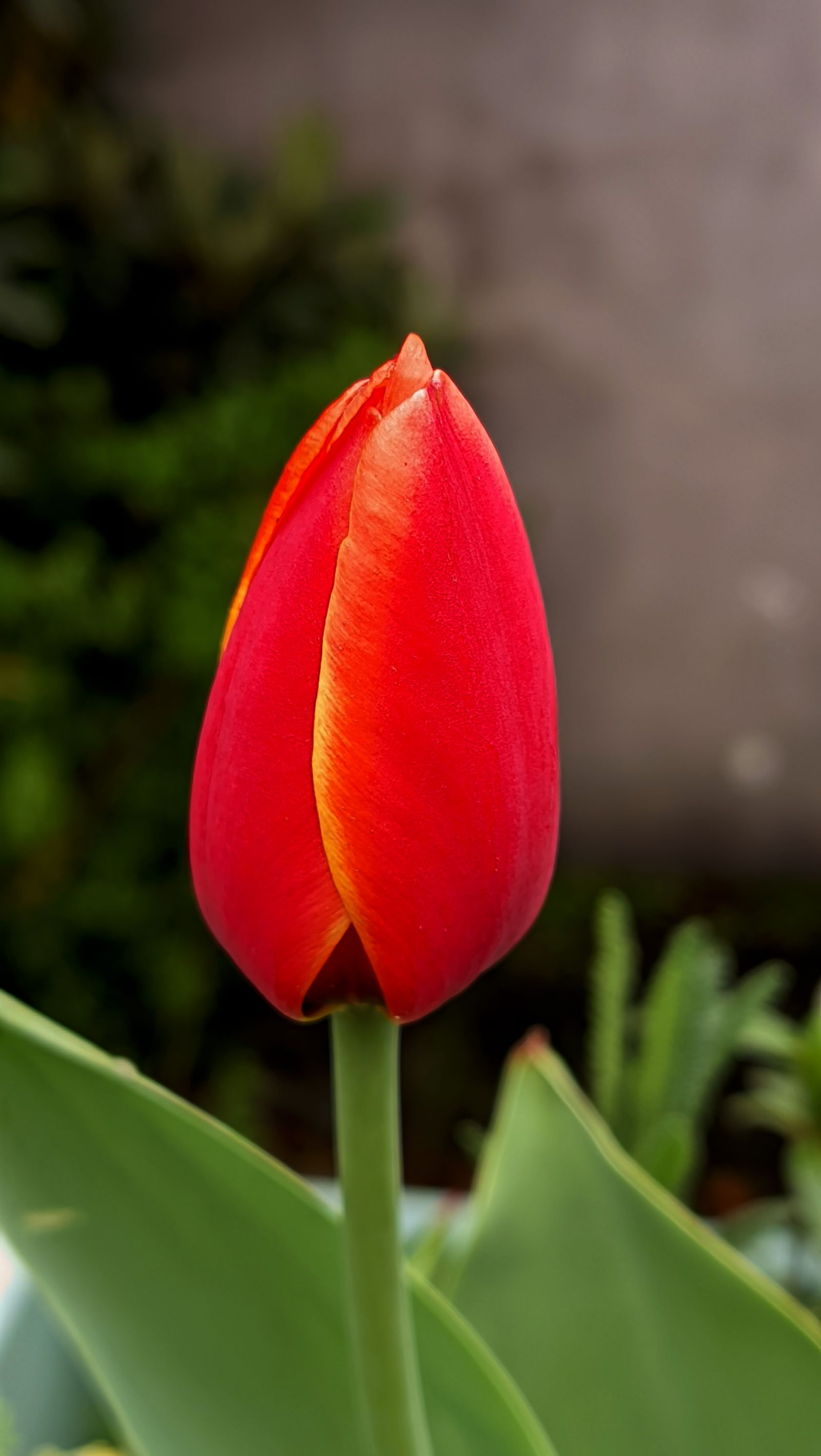 Colorful Nature Photos, Download The BEST Free Colorful Nature Stock ...