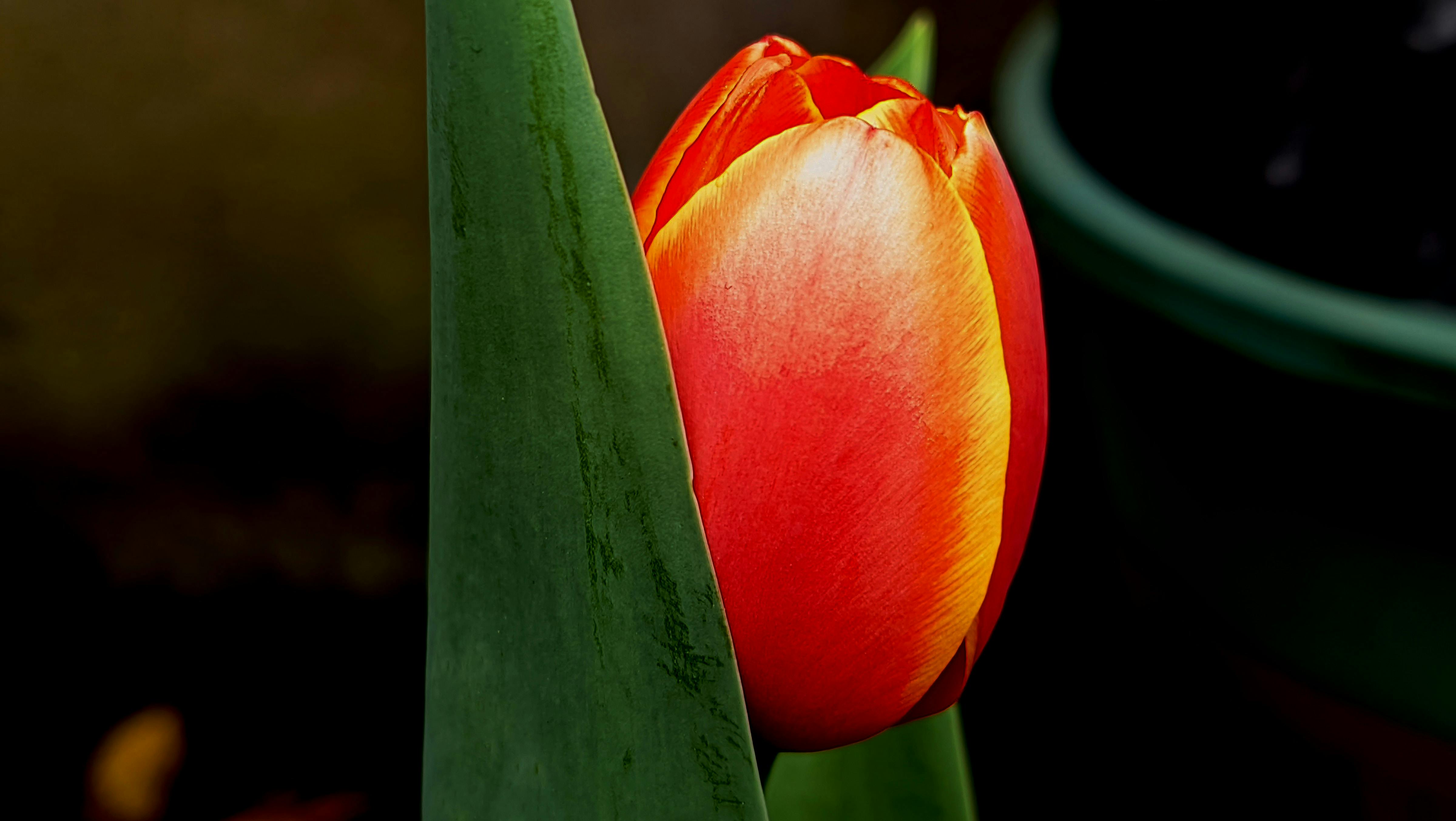 按不出吧一天n1按不出吧一天n1不陈按不出吧一天n1按不出吧一天n1不陈吧一天 Photos, Download The BEST Free ...