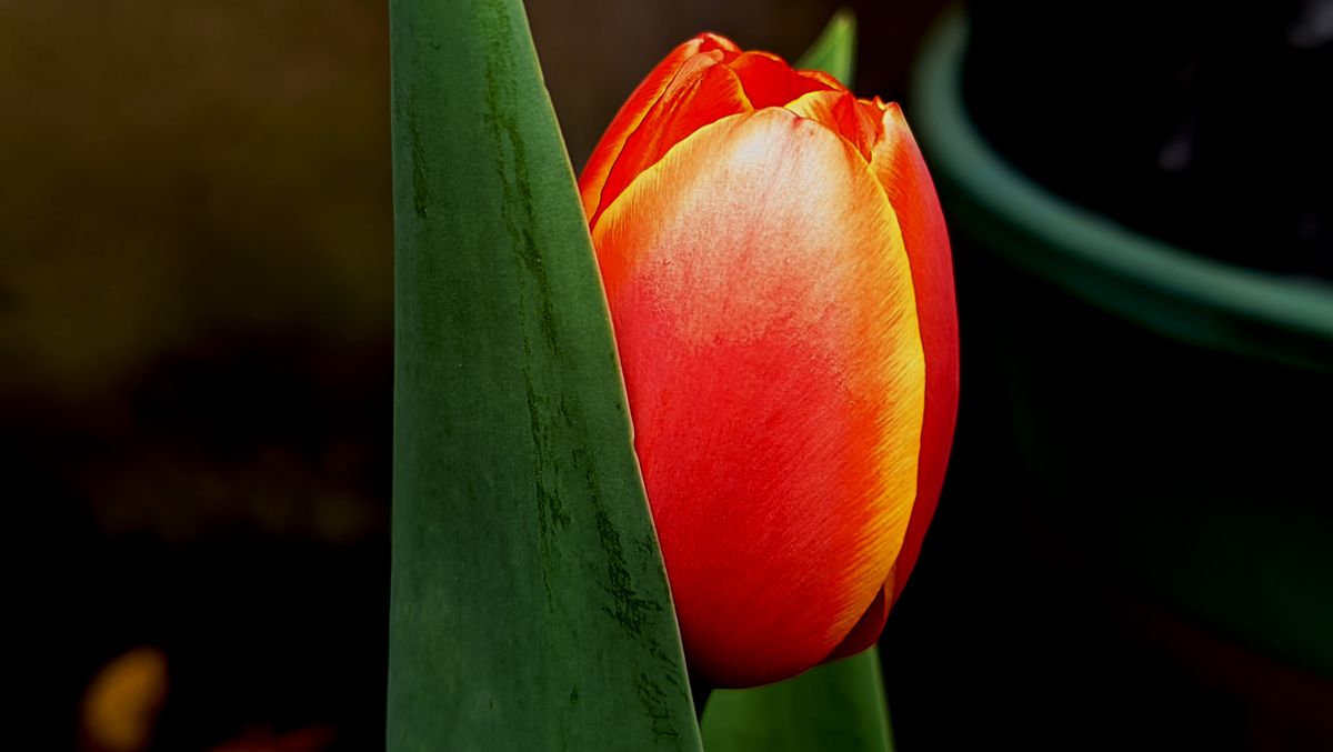 Colorful Nature Photos, Download The BEST Free Colorful Nature Stock ...