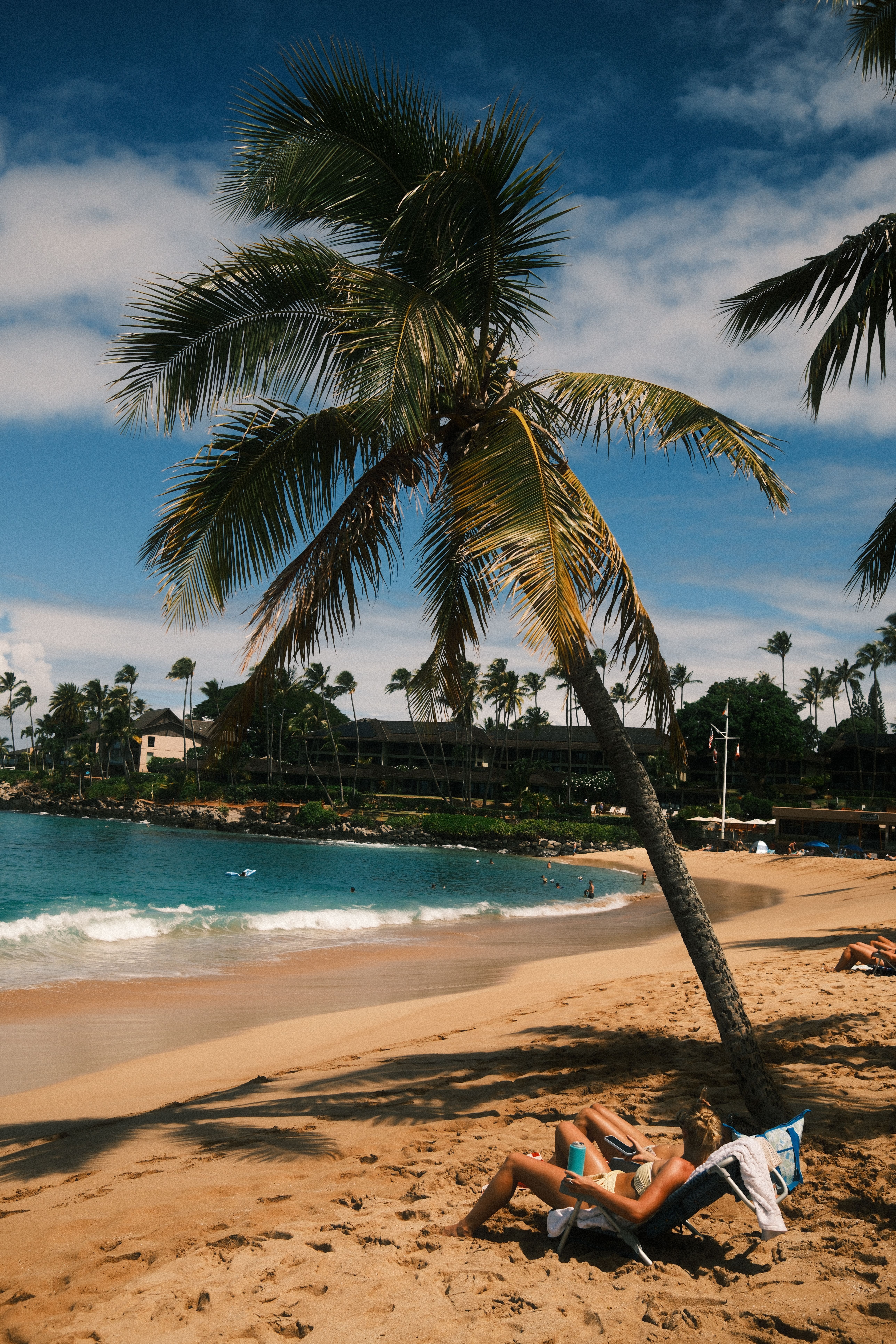 Nature Beach Photos, Download The BEST Free Nature Beach Stock Photos ...