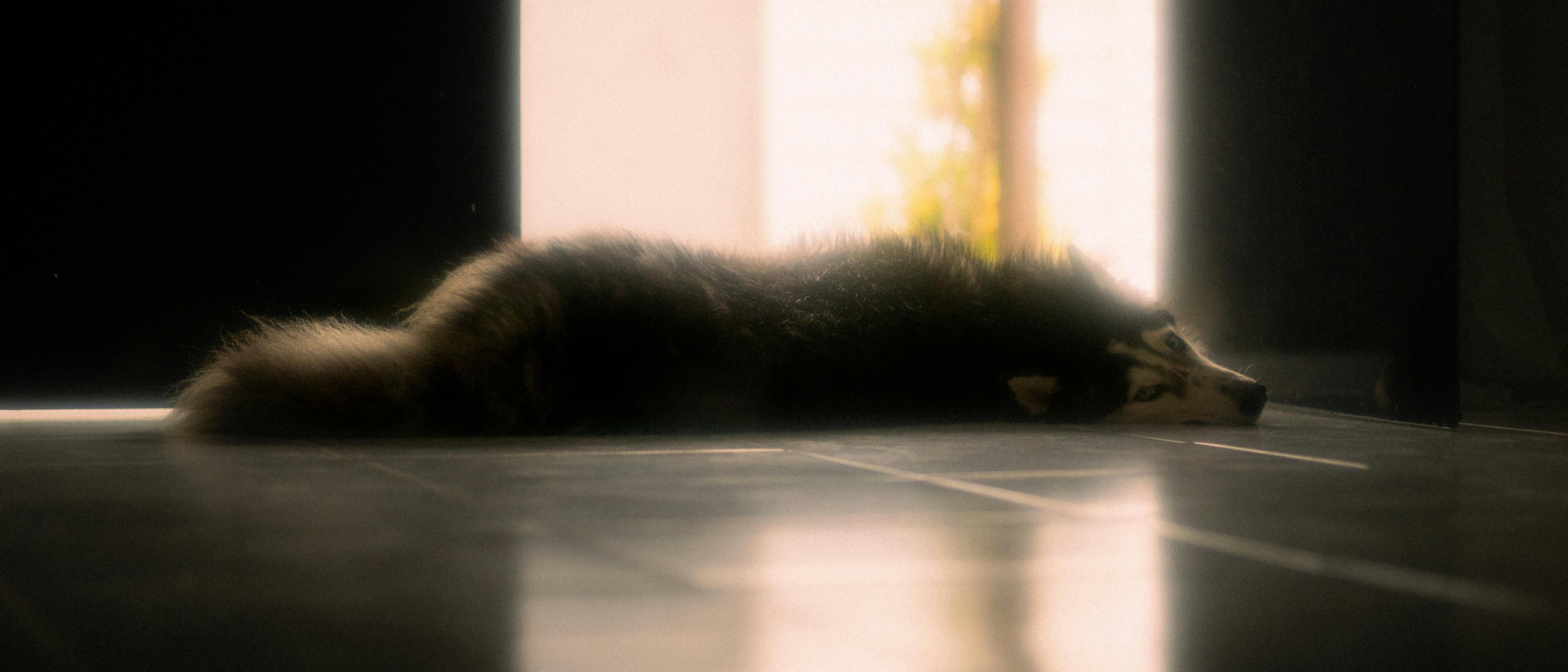 Relaxing Sleep Photos, Download The BEST Free Relaxing Sleep Stock ...