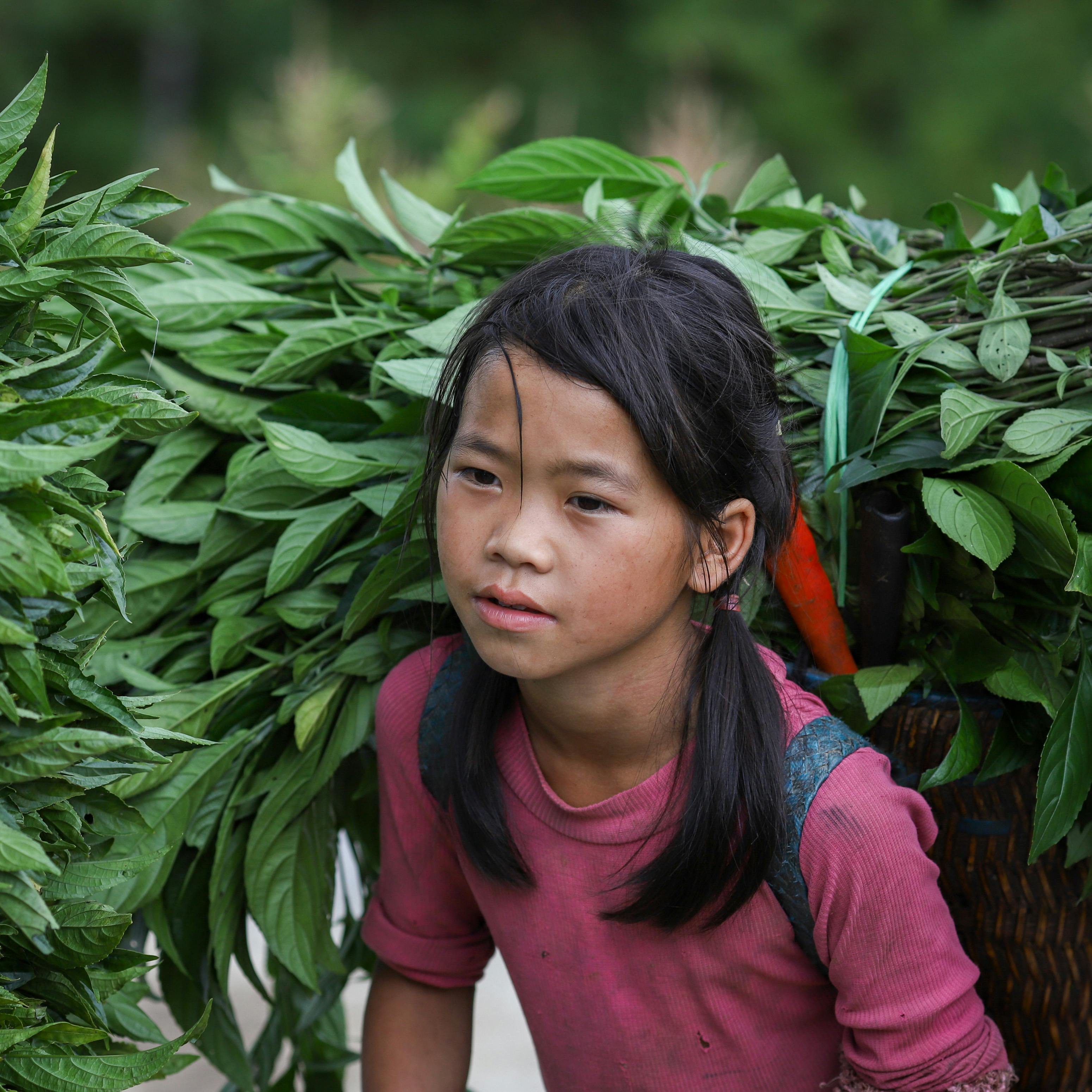 Hd Labor Day Images Photos, Download The BEST Free Hd Labor Day Images ...