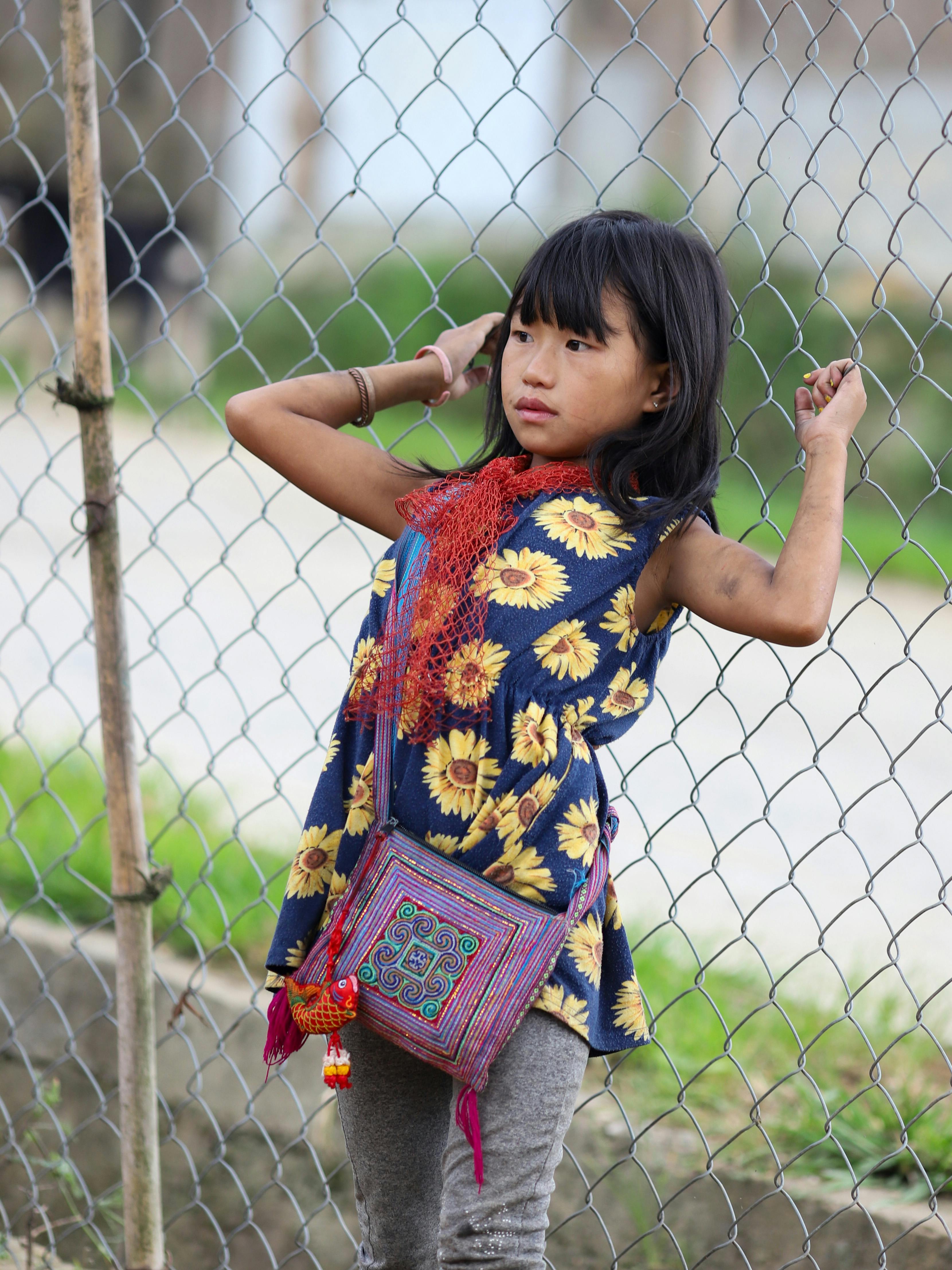 Free+Pfps Photos, Download The BEST Free Free+Pfps Stock Photos & HD Images