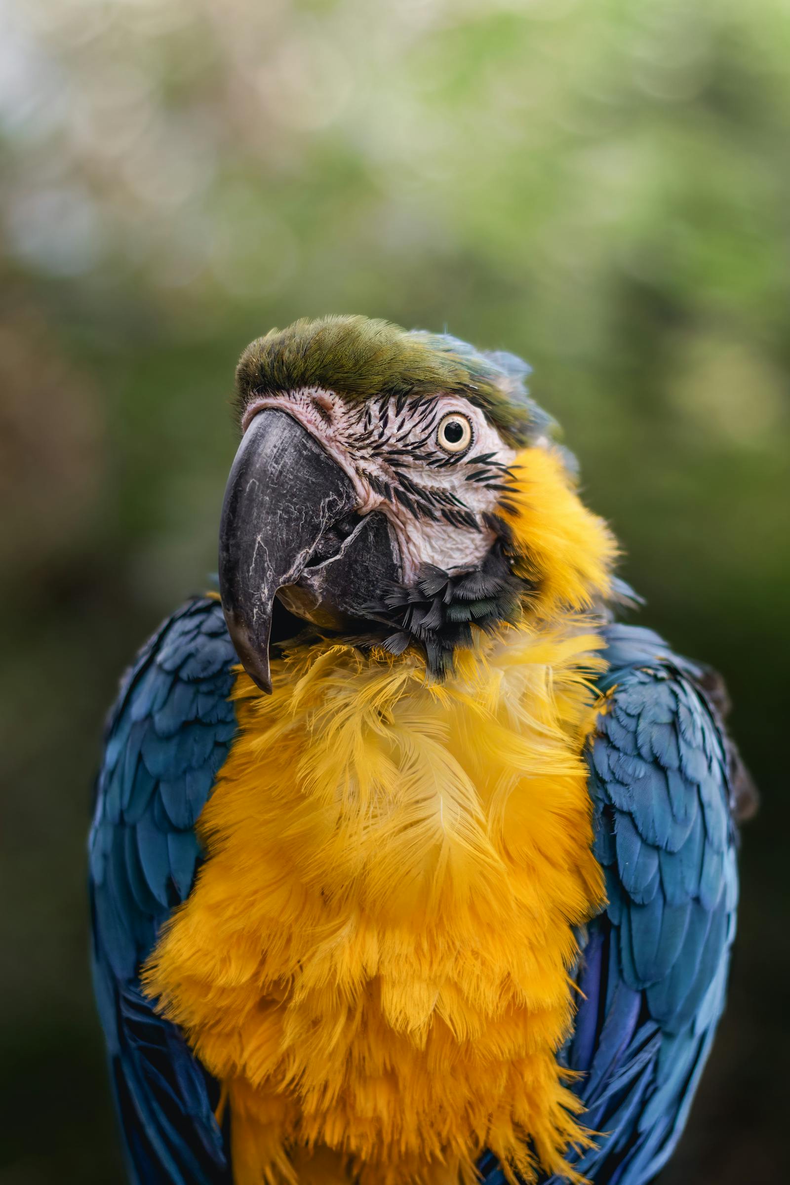 Anime+Wallpaper+Tuff Photos, Download The BEST Free Anime+Wallpaper ...