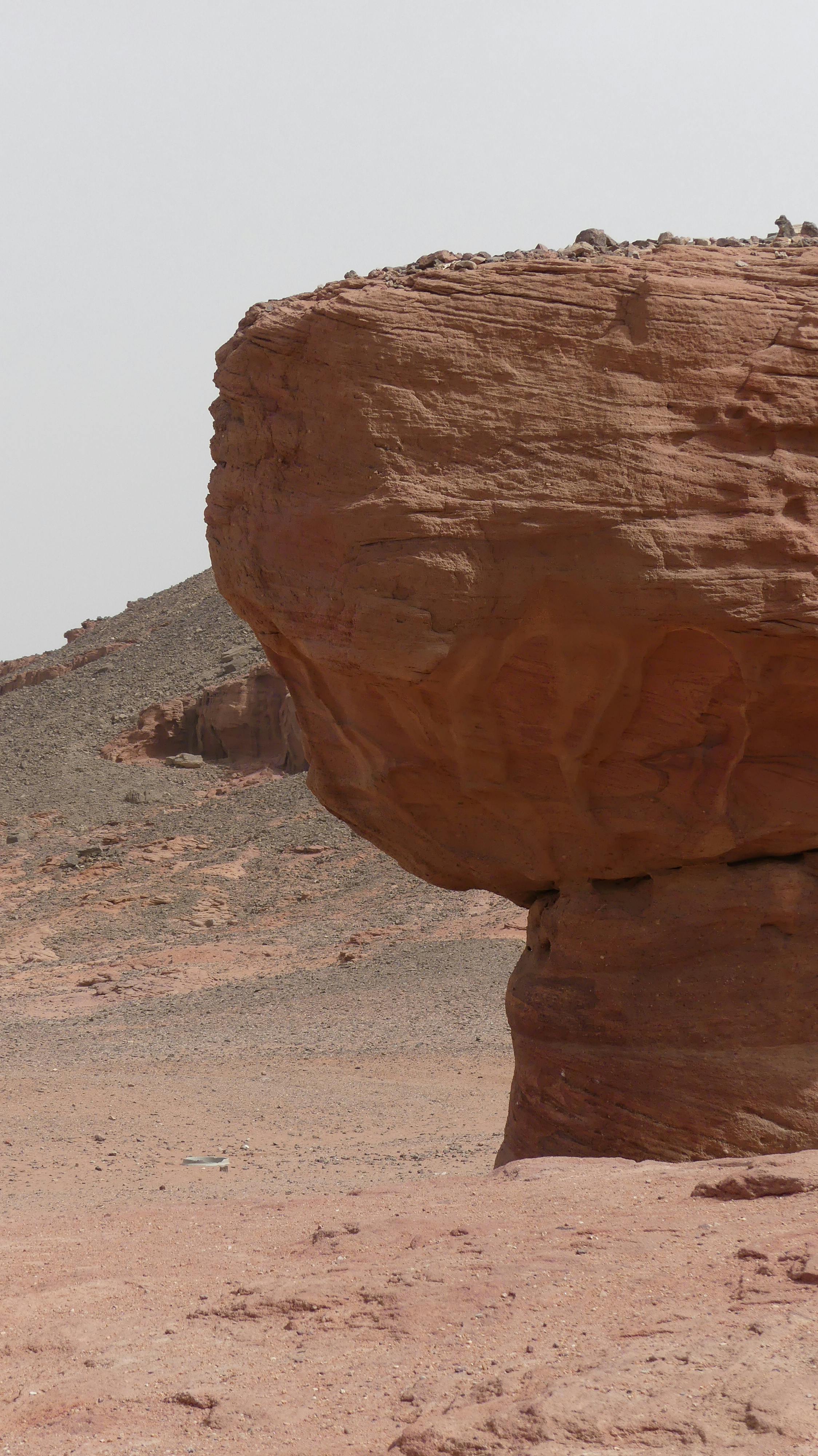 Dwayne Johnson The Rock Photos, Download The BEST Free Dwayne Johnson ...