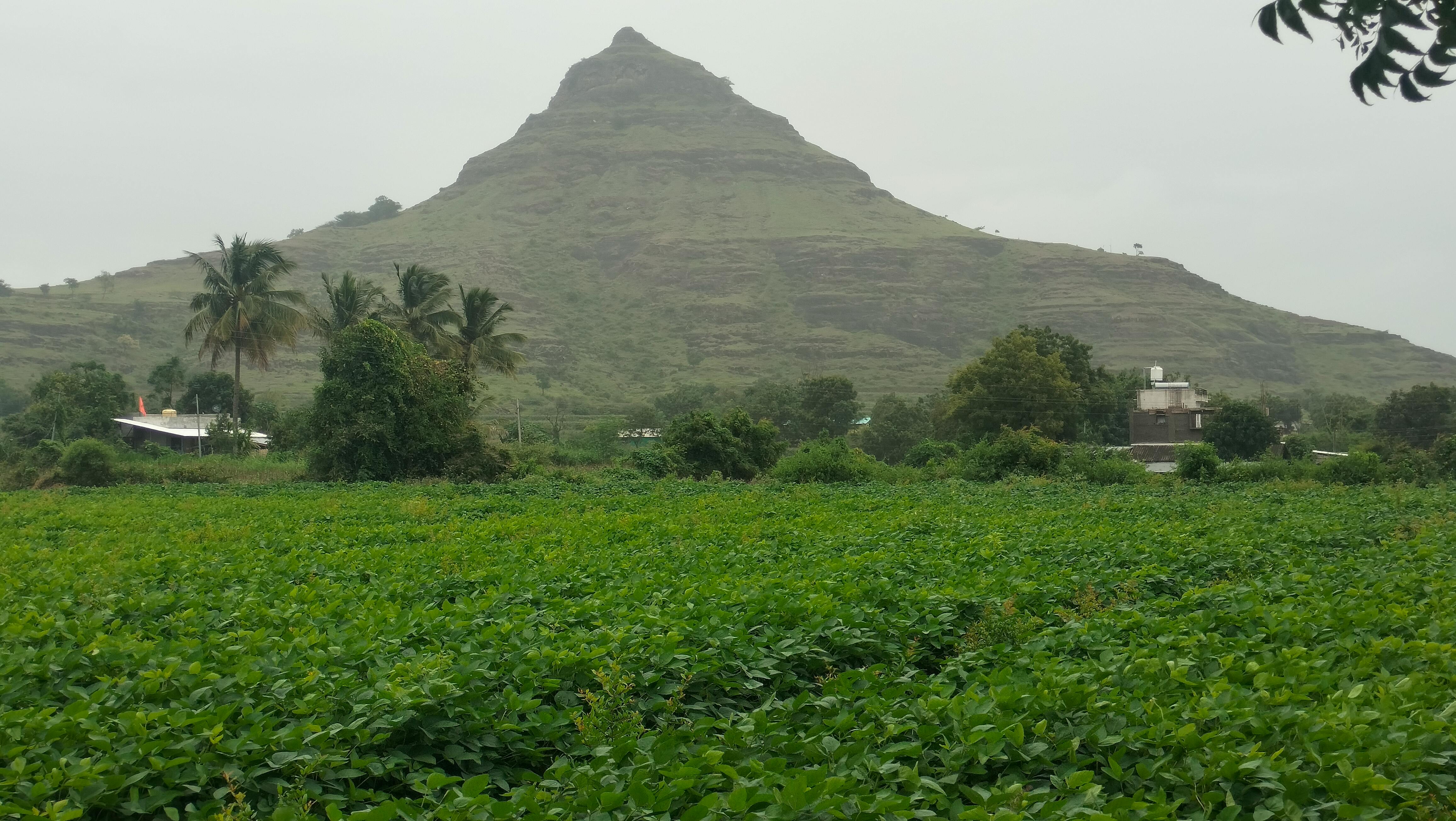 Specialty Crop Farm Photos, Download The BEST Free Specialty Crop Farm ...