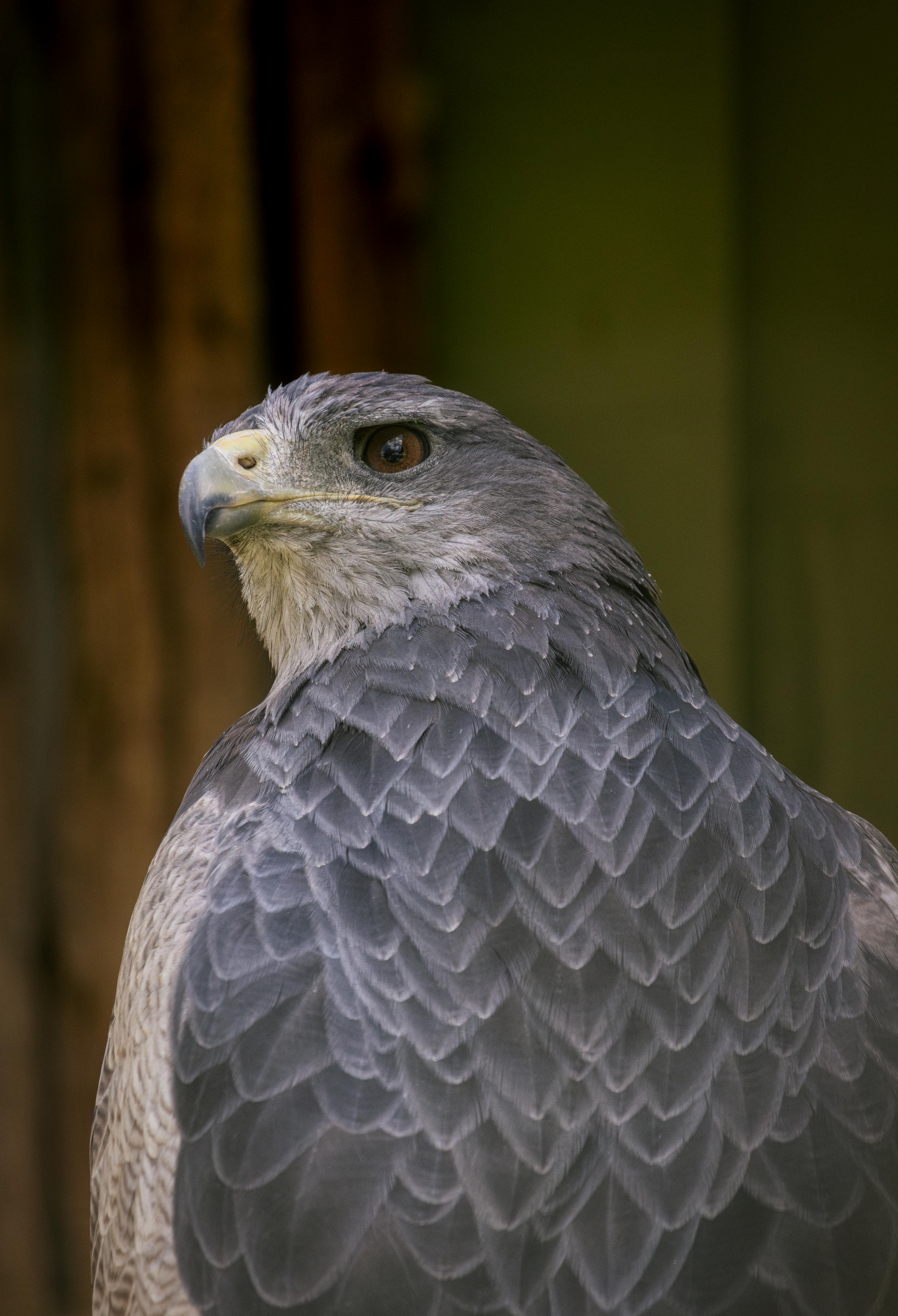 Admin Profile Photos, Download The BEST Free Admin Profile Stock Photos ...