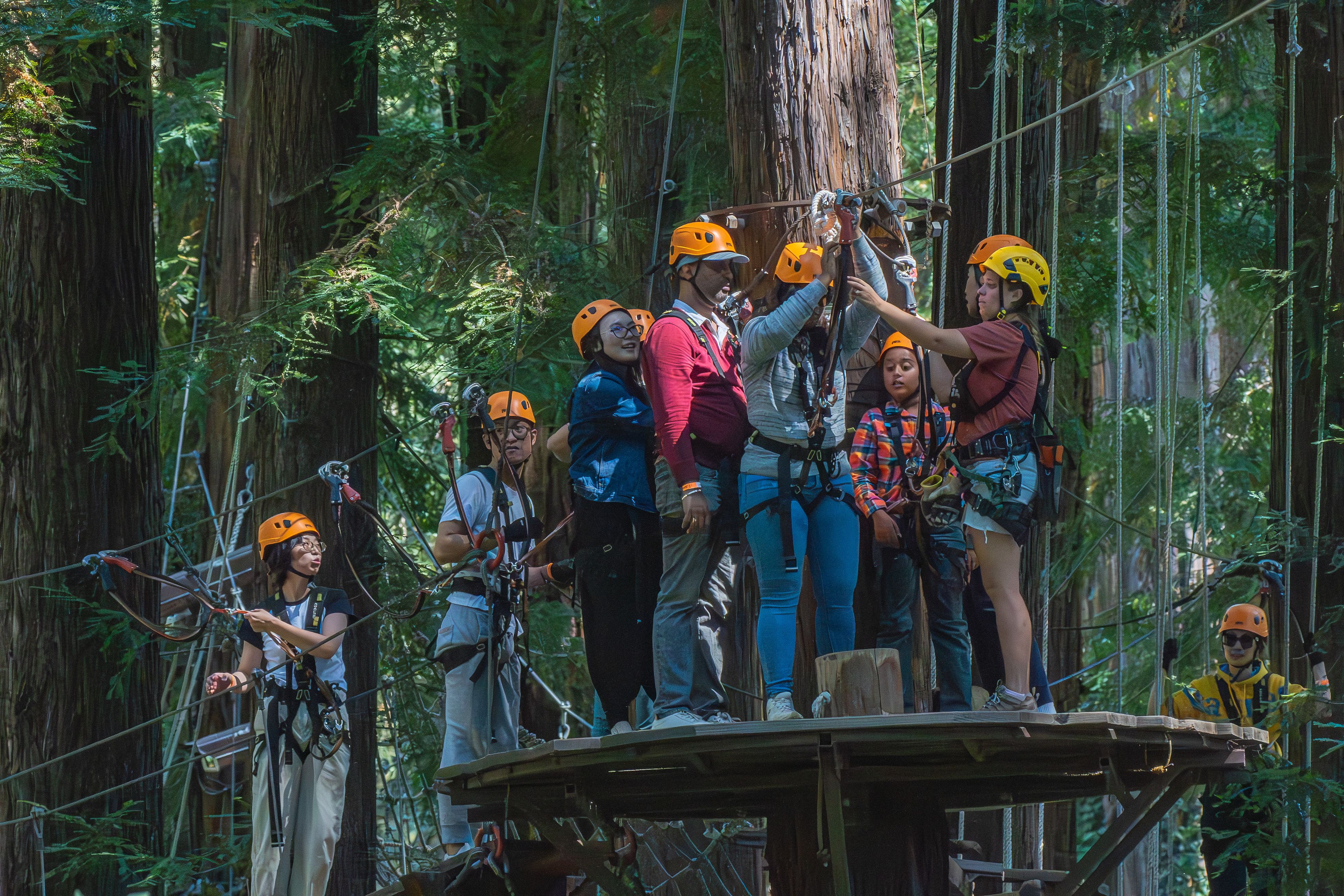 Zipline Photos, Download The BEST Free Zipline Stock Photos & HD Images