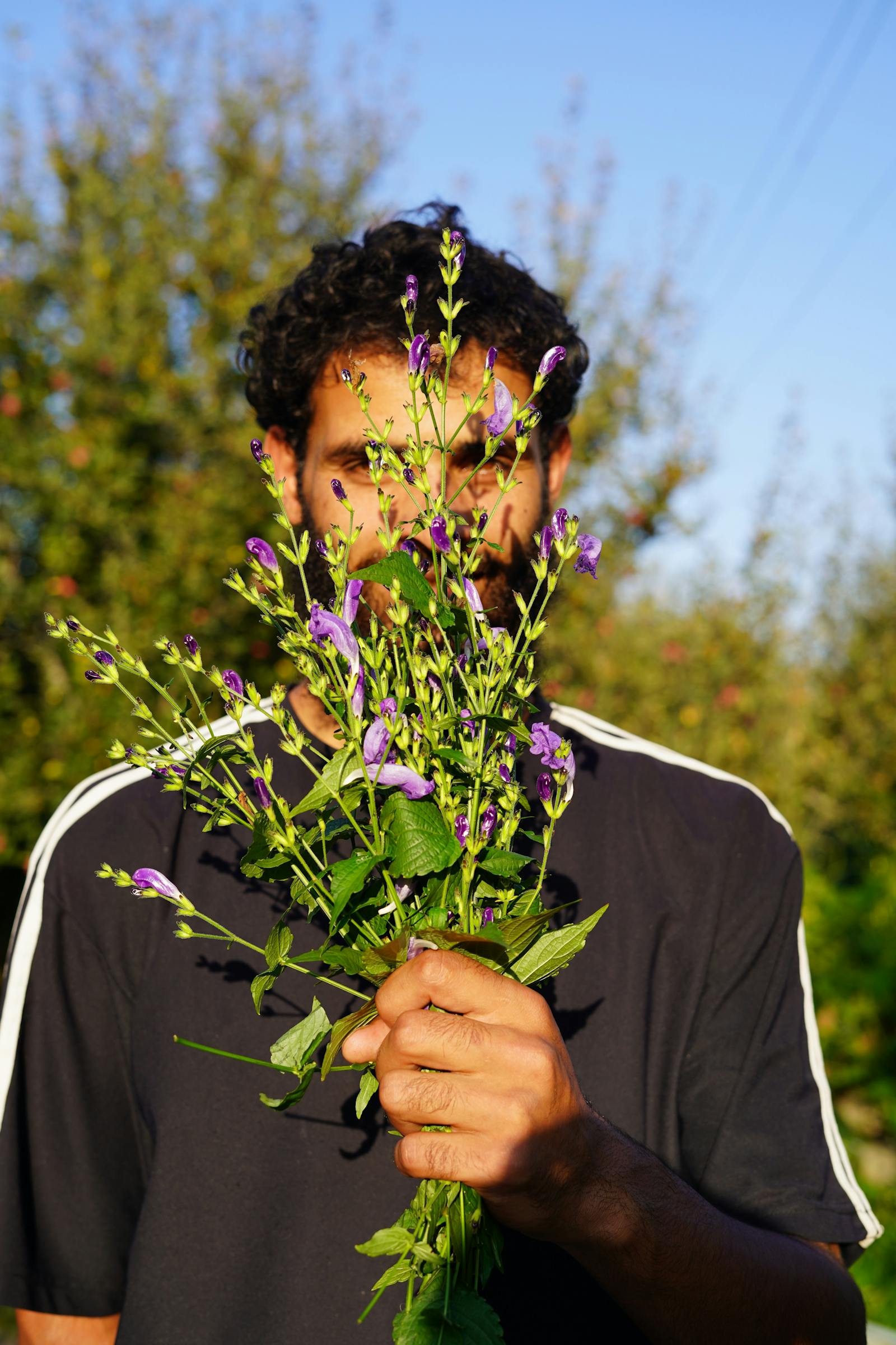 Man Pfp Photos, Download The BEST Free Man Pfp Stock Photos & HD Images