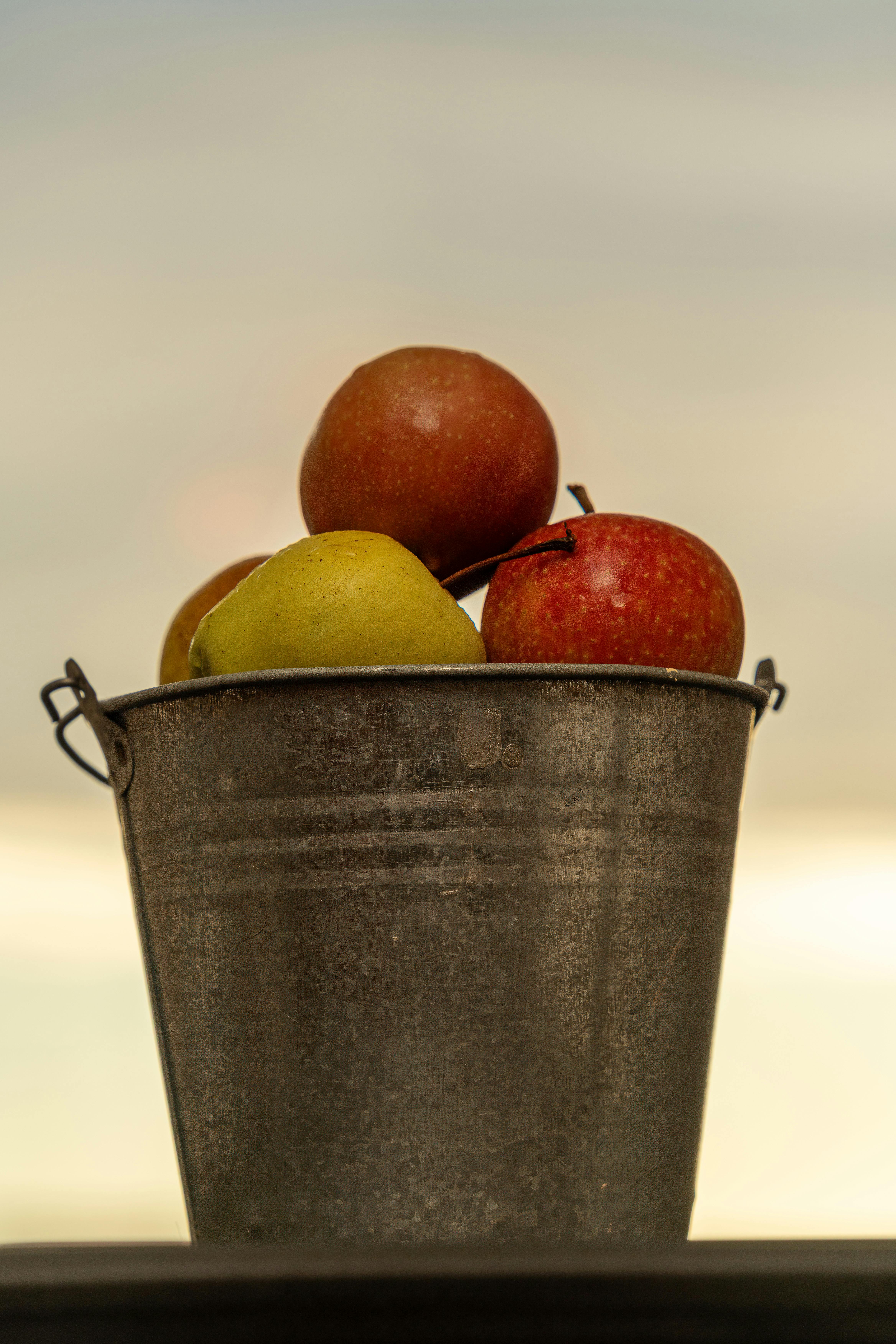 Apple Fruit Photos, Download The BEST Free Apple Fruit Stock Photos ...