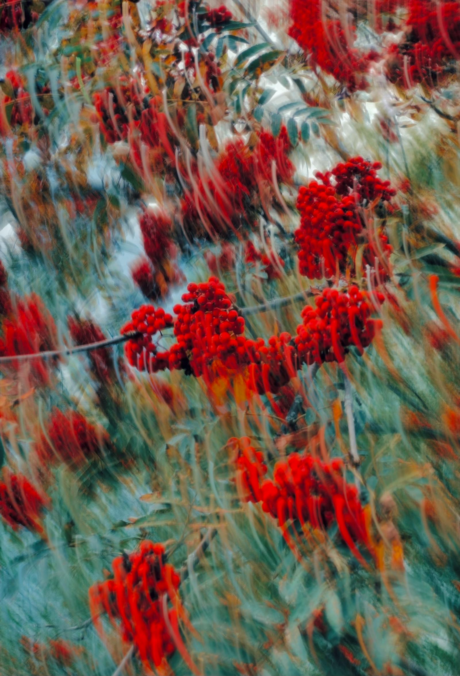 Creative Abstract Photos, Download The BEST Free Creative Abstract ...