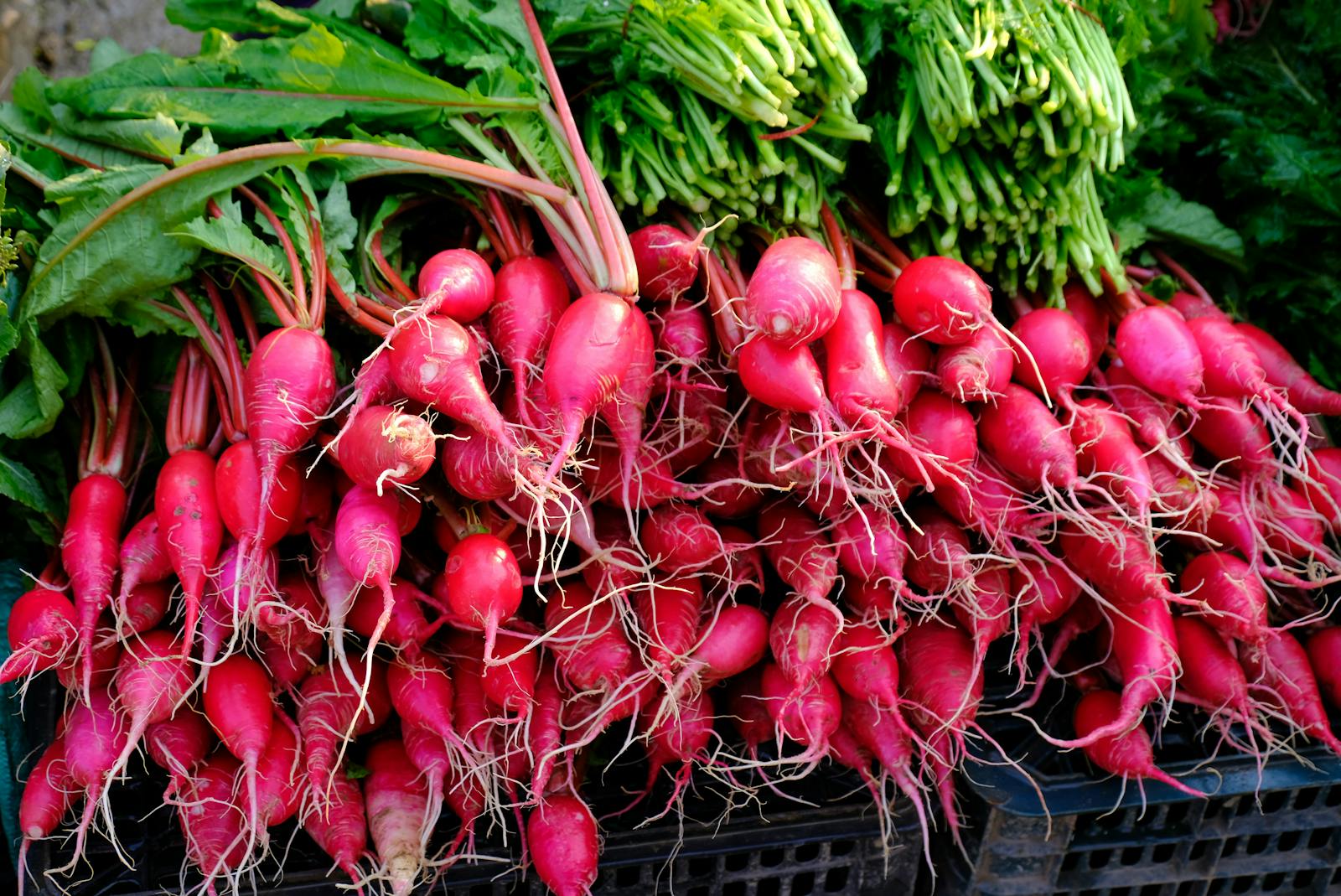 Esg & Sustainability Photos, Download The BEST Free Esg ...