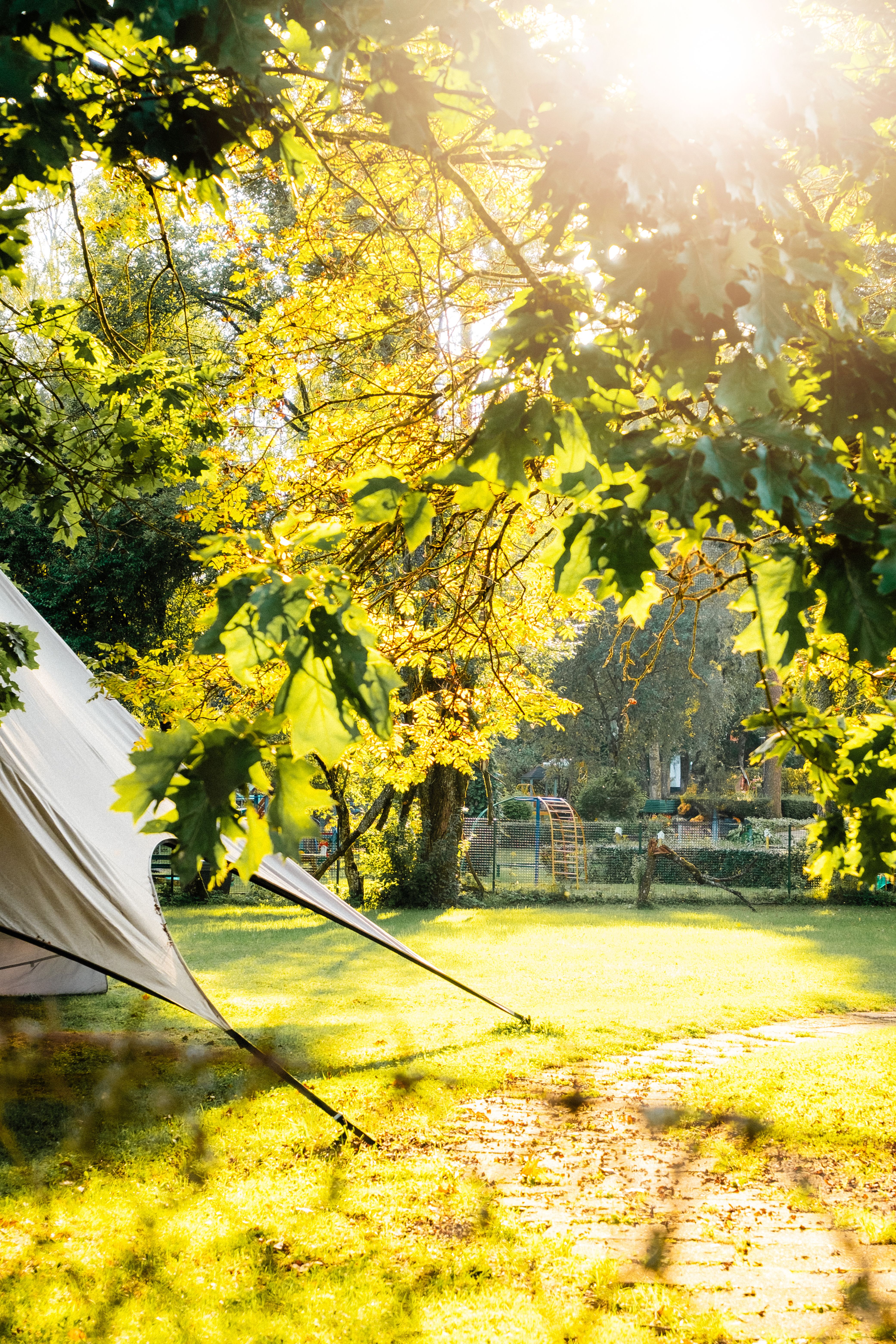 Camping Tent Photos, Download The BEST Free Camping Tent Stock Photos ...