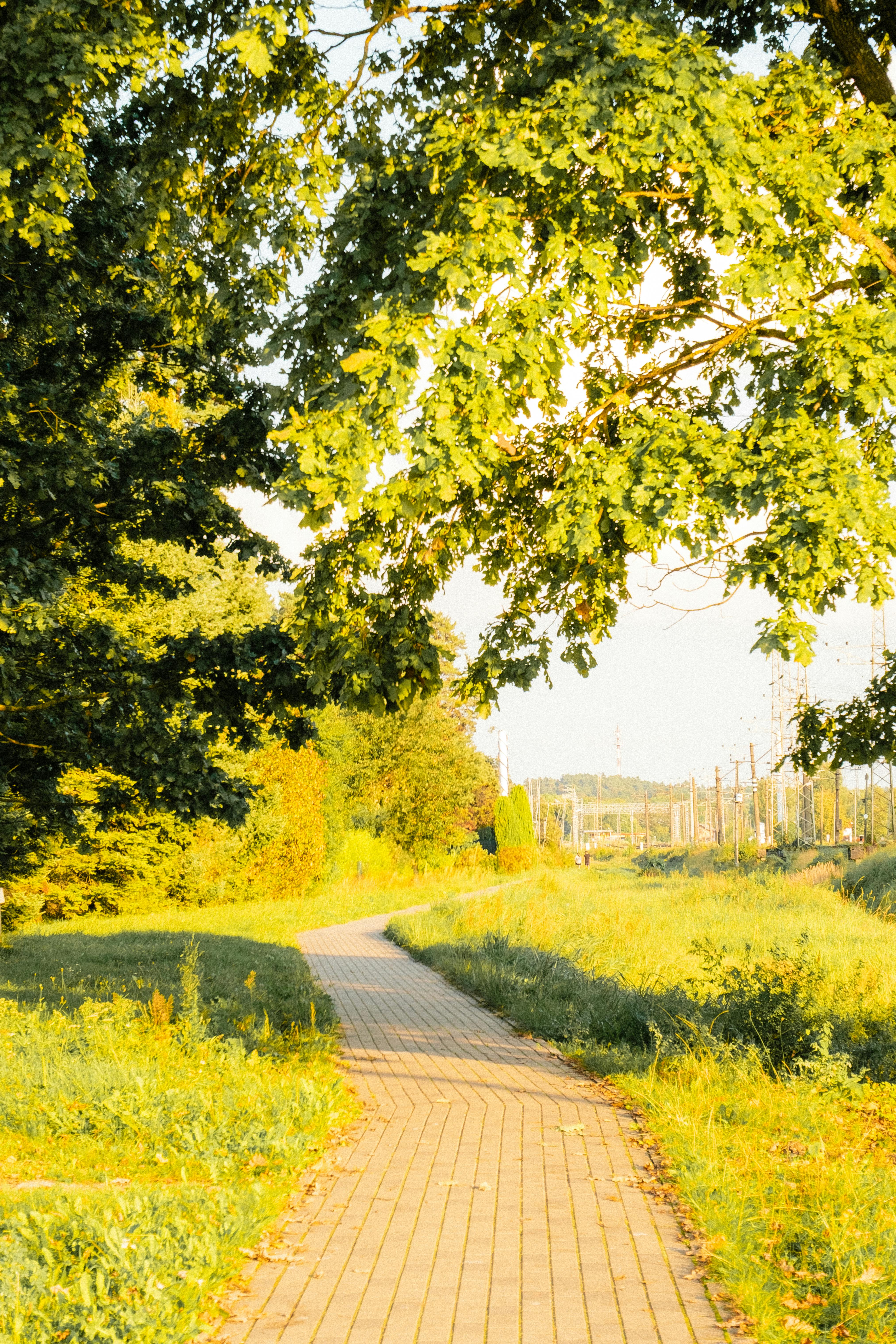 Calm Scenery Photos, Download The BEST Free Calm Scenery Stock Photos ...