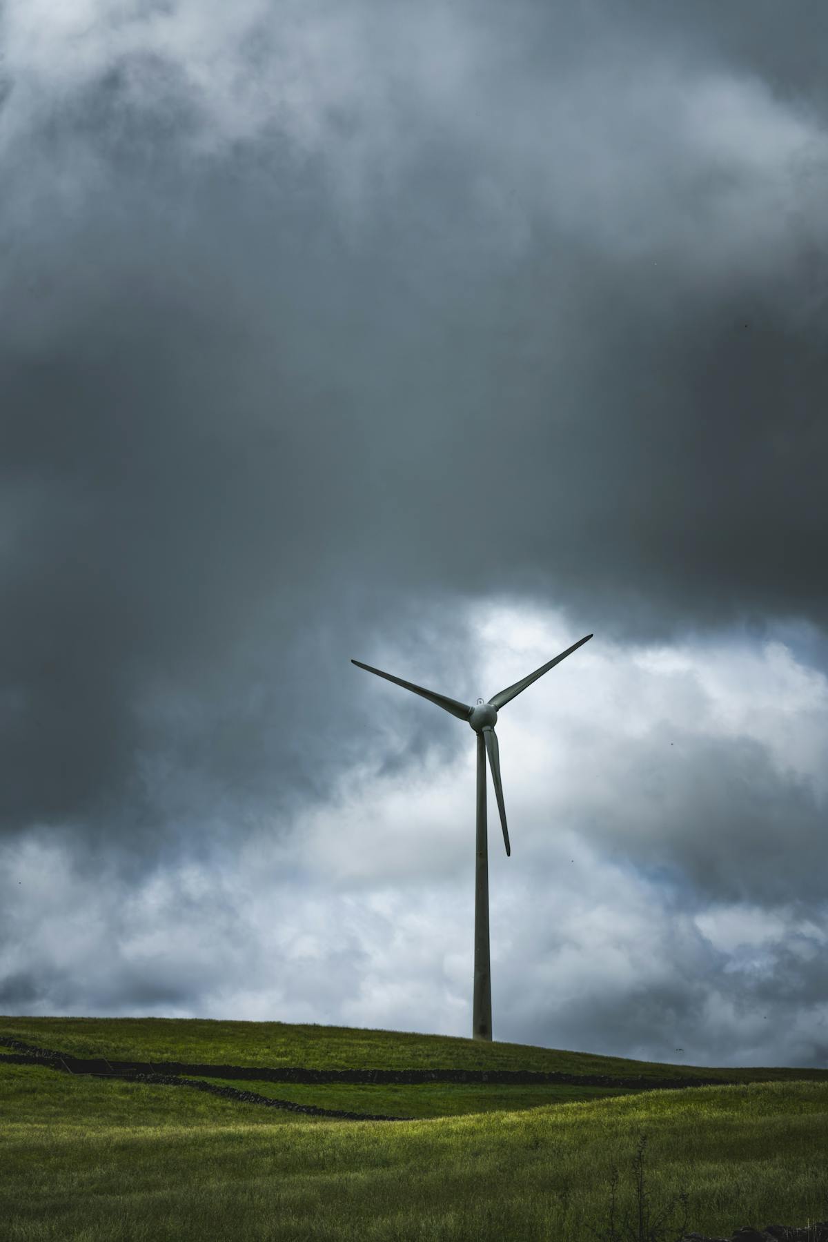 Gone With The Wind Photos, Download The BEST Free Gone With The Wind ...