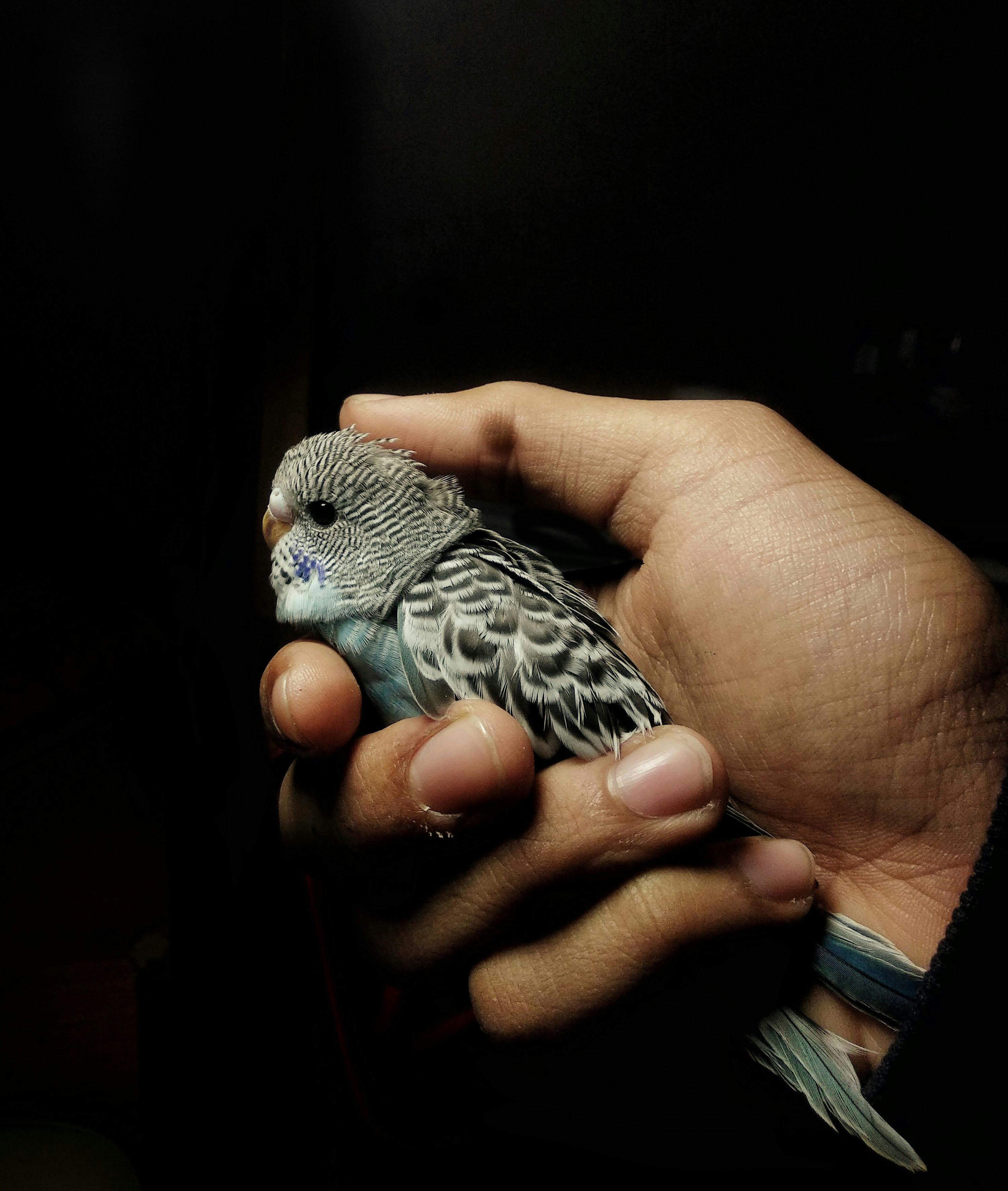 Fingering+Gifs Photos, Download The BEST Free Fingering+Gifs Stock ...