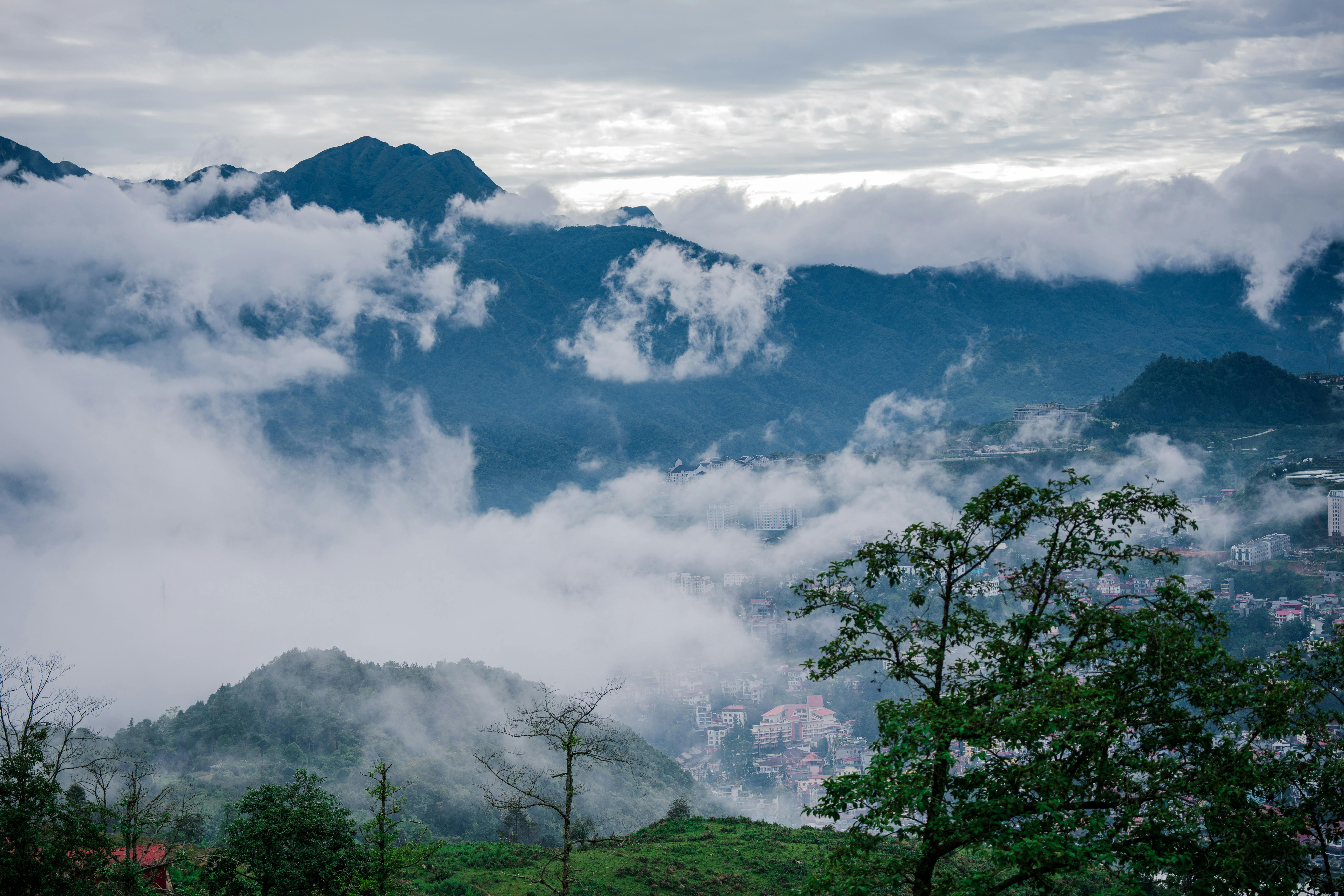 Bingo Background Photos, Download The BEST Free Bingo Background Stock ...