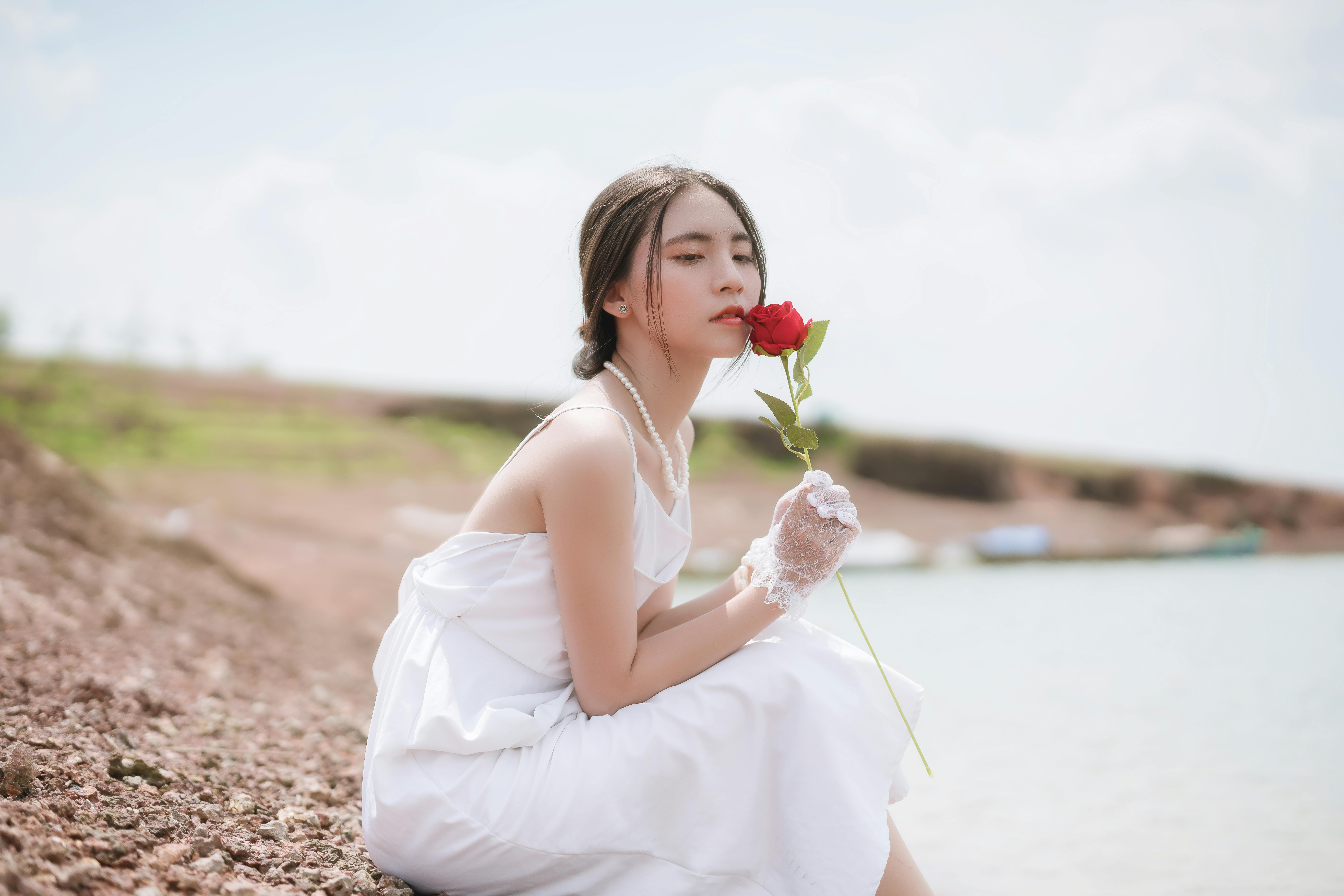 Belinda+Bely+Shiny+Flowers Photos, Download The BEST Free Belinda+Bely+Shiny+Flowers Stock ...