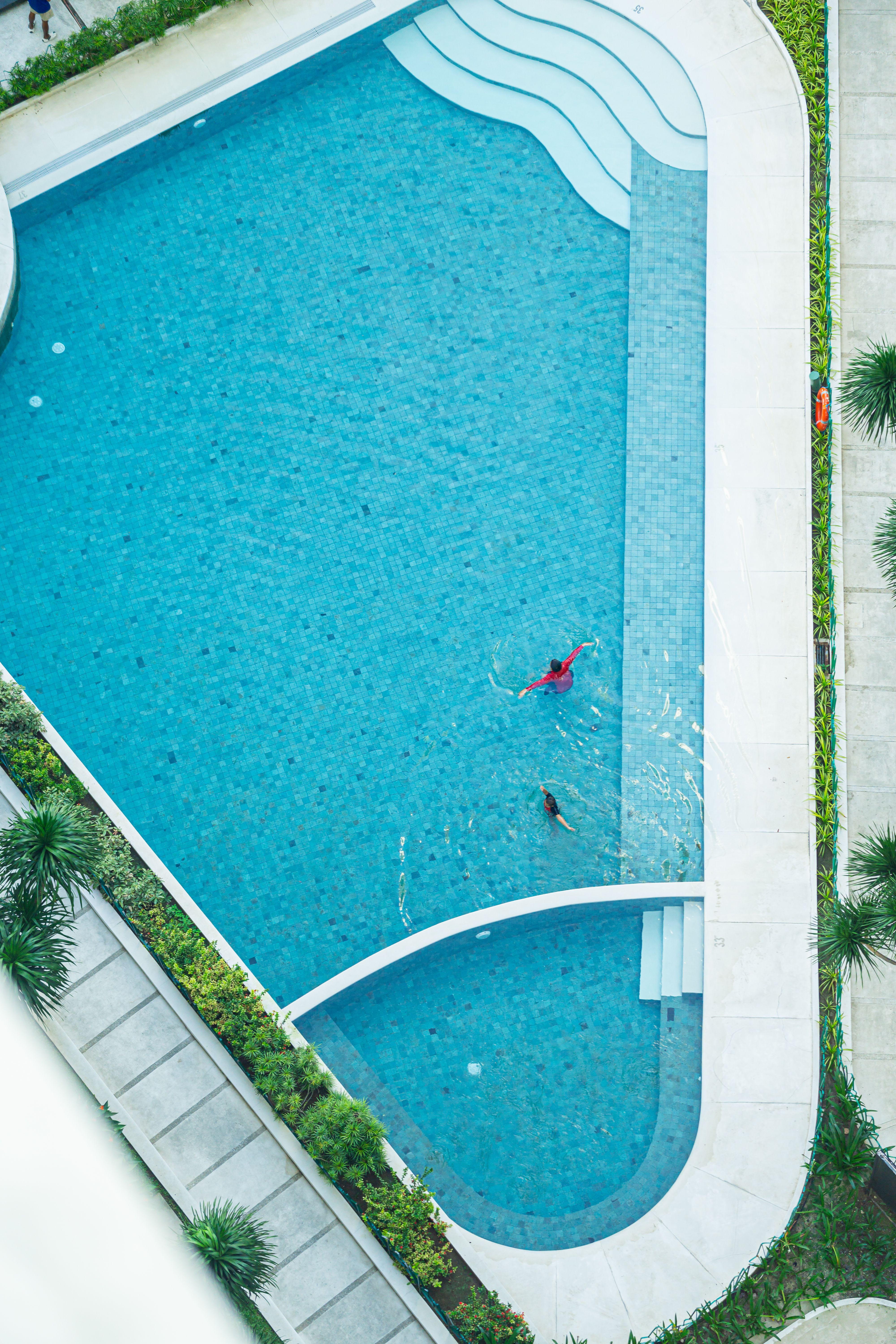Aerial View of Modern Swimming Pool with Swimmers · Free Stock Photo