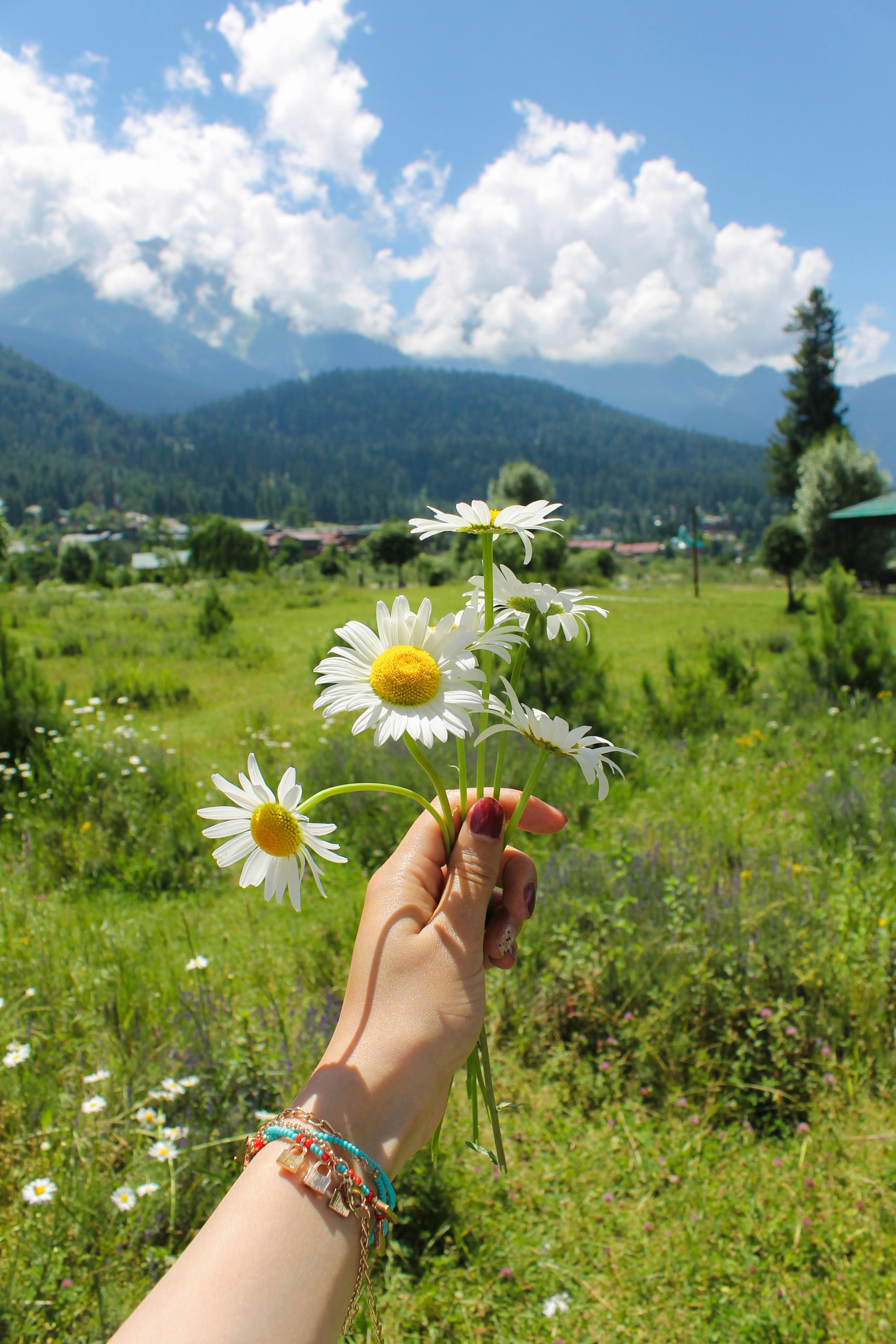 Pretty Virgins Photos, Download The BEST Free Pretty Virgins Stock ...