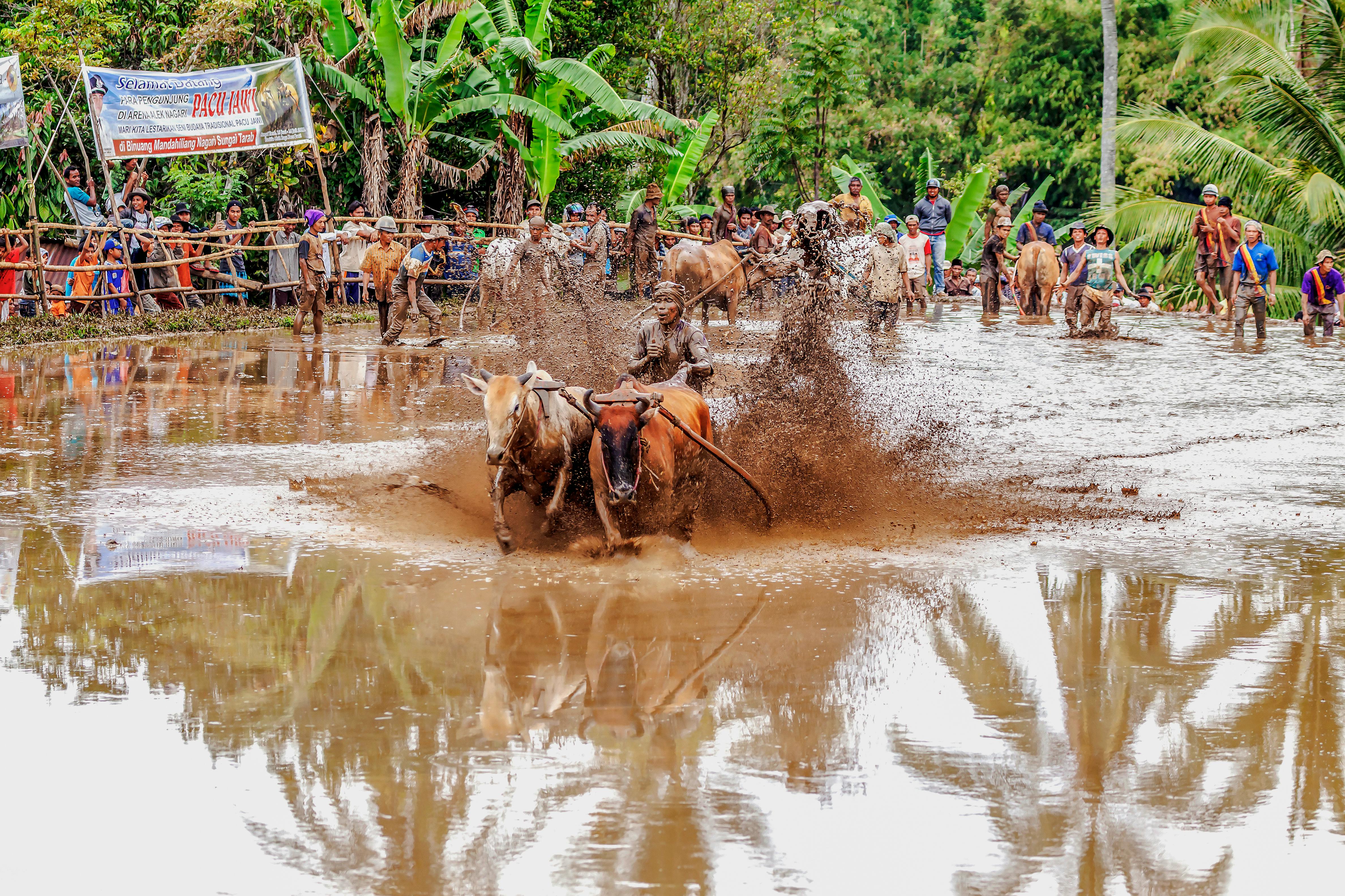 Sport+Rasmlari Photos, Download The BEST Free Sport+Rasmlari Stock ...