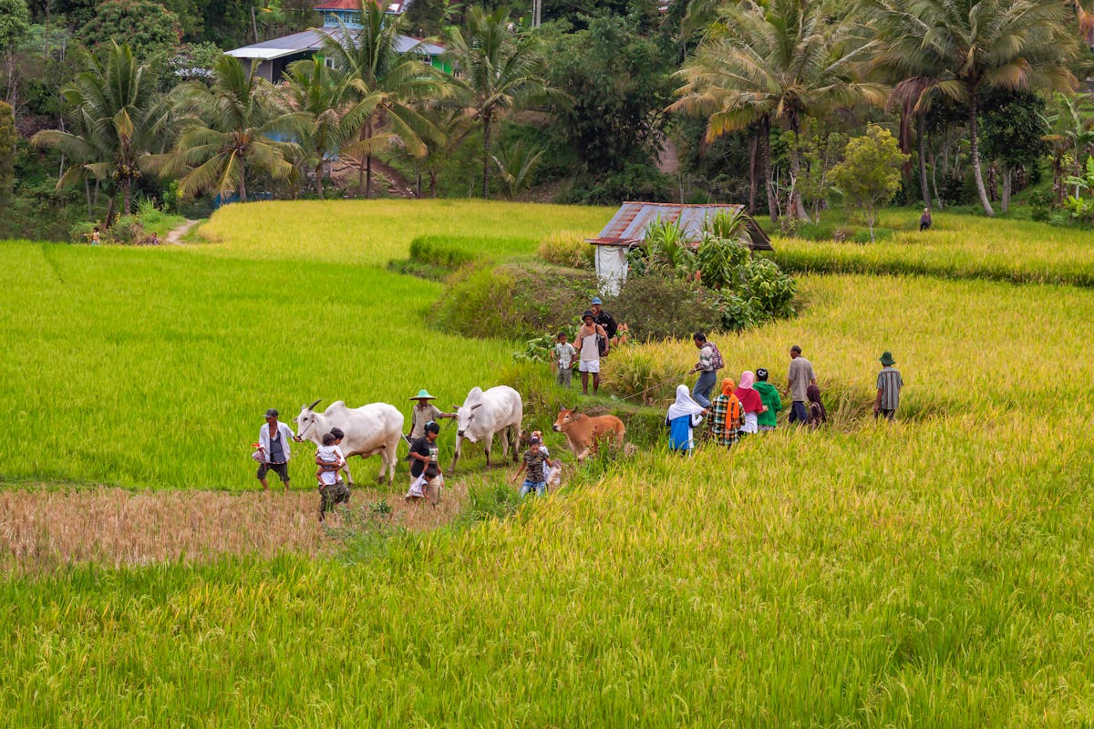 Person Jpg Photos, Download The BEST Free Person Jpg Stock Photos & HD ...