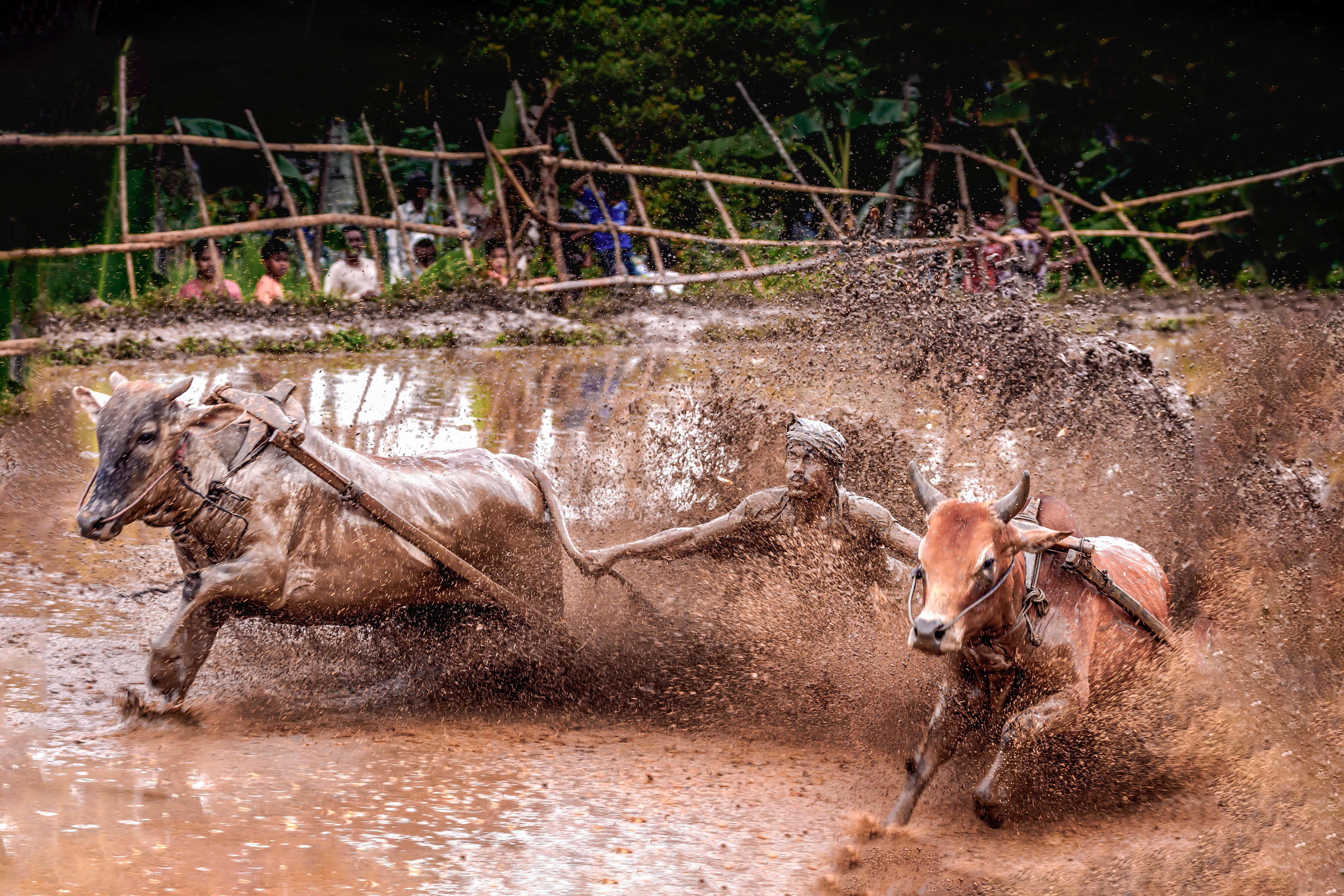 Nature Sport Photos, Download The BEST Free Nature Sport Stock Photos ...