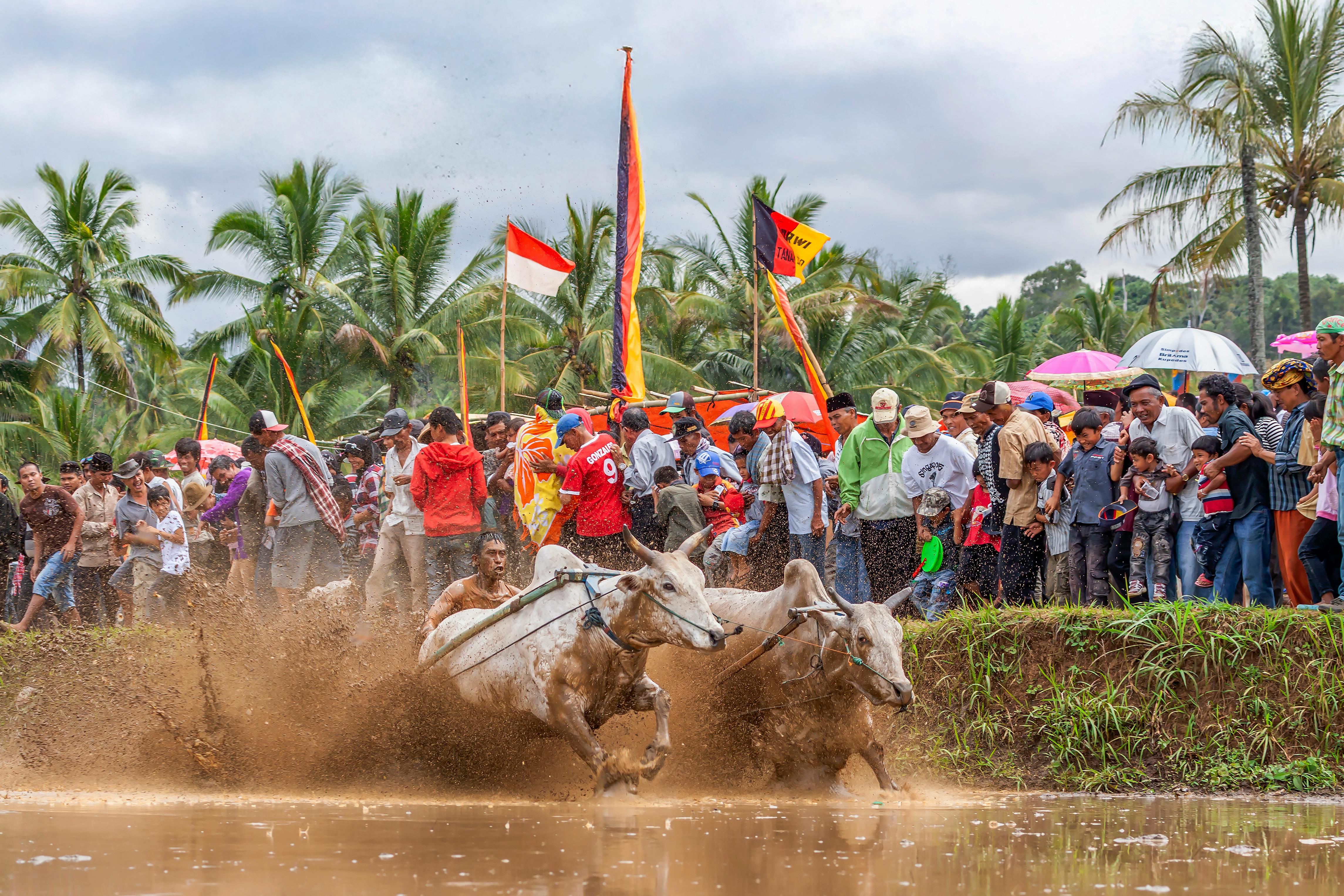 Sport+Rasmlari Photos, Download The BEST Free Sport+Rasmlari Stock ...