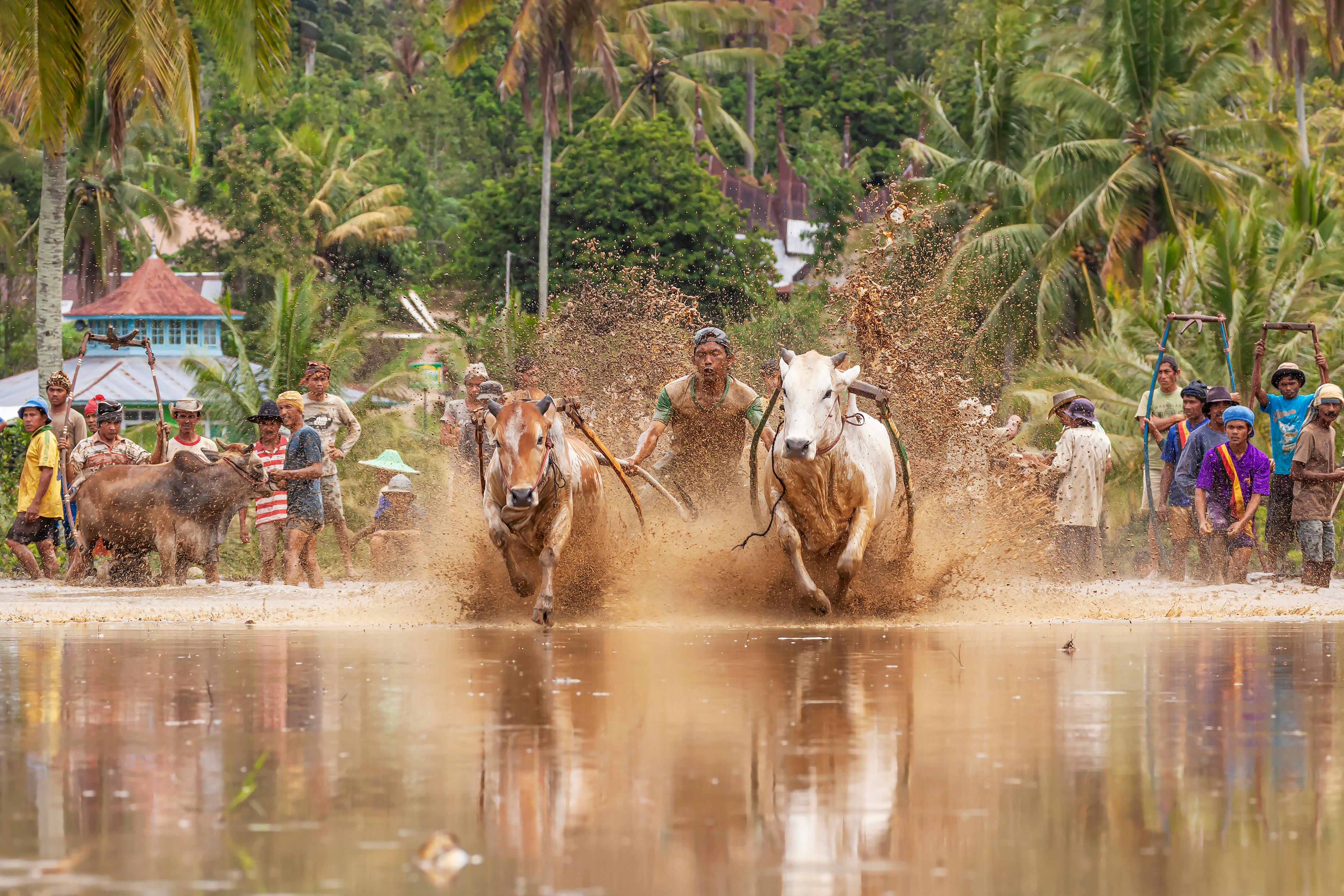 Daydrian Harding Photos, Download The BEST Free Daydrian Harding Stock ...