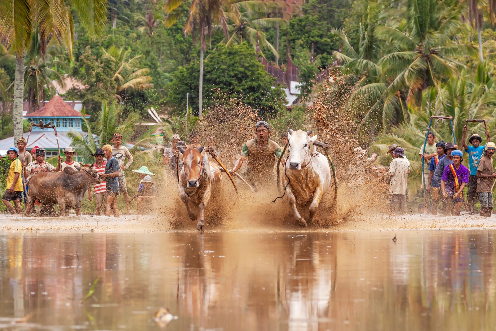 5.000+ Foto Desa Terbaik · Unduh Gratis 100% · Foto Stok Pexels