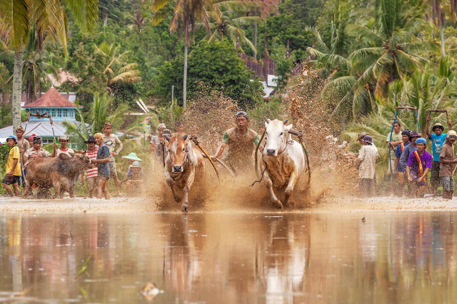 Sport+Rasmlari Photos, Download The BEST Free Sport+Rasmlari Stock ...