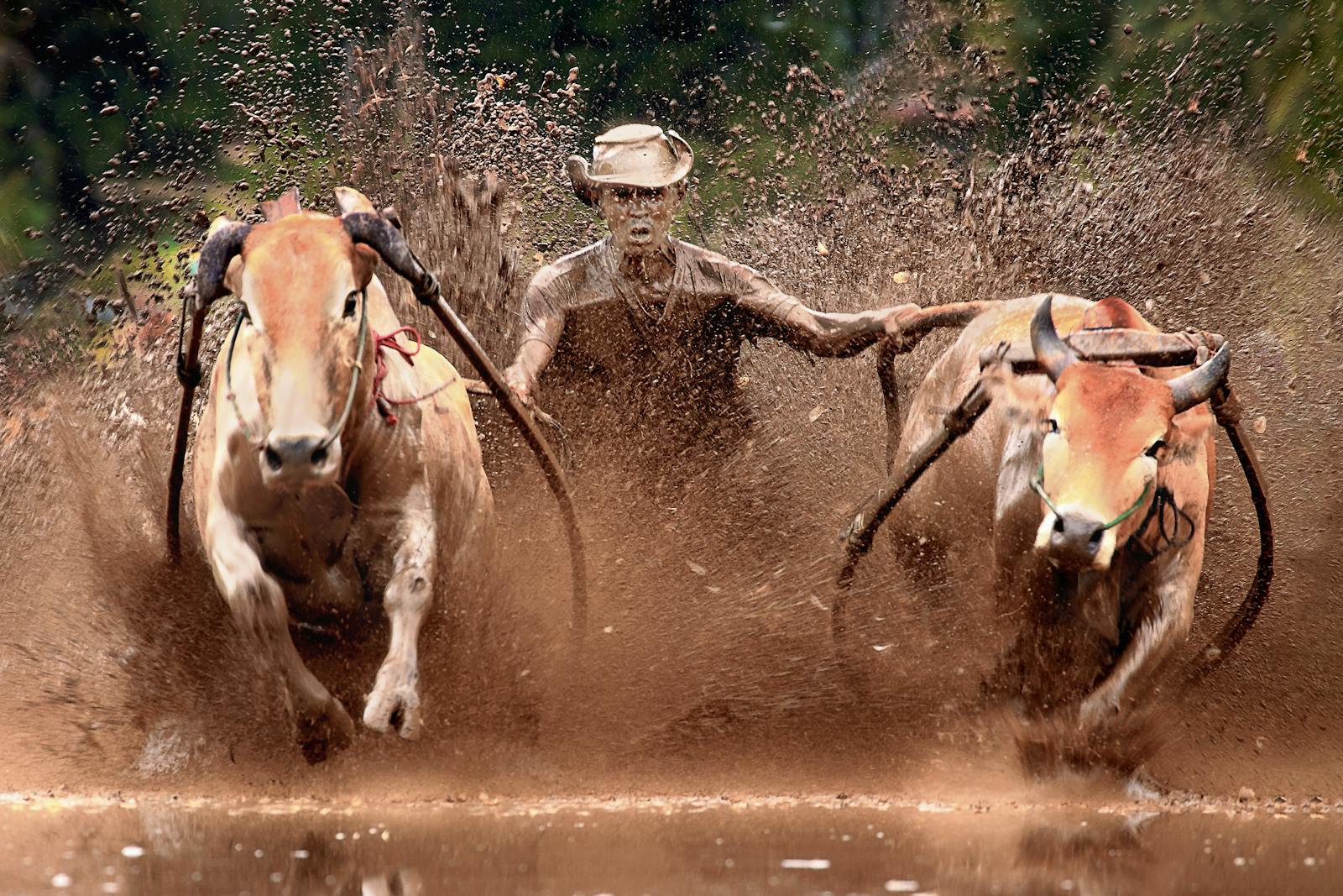 Sport+Rasmlari Photos, Download The BEST Free Sport+Rasmlari Stock ...