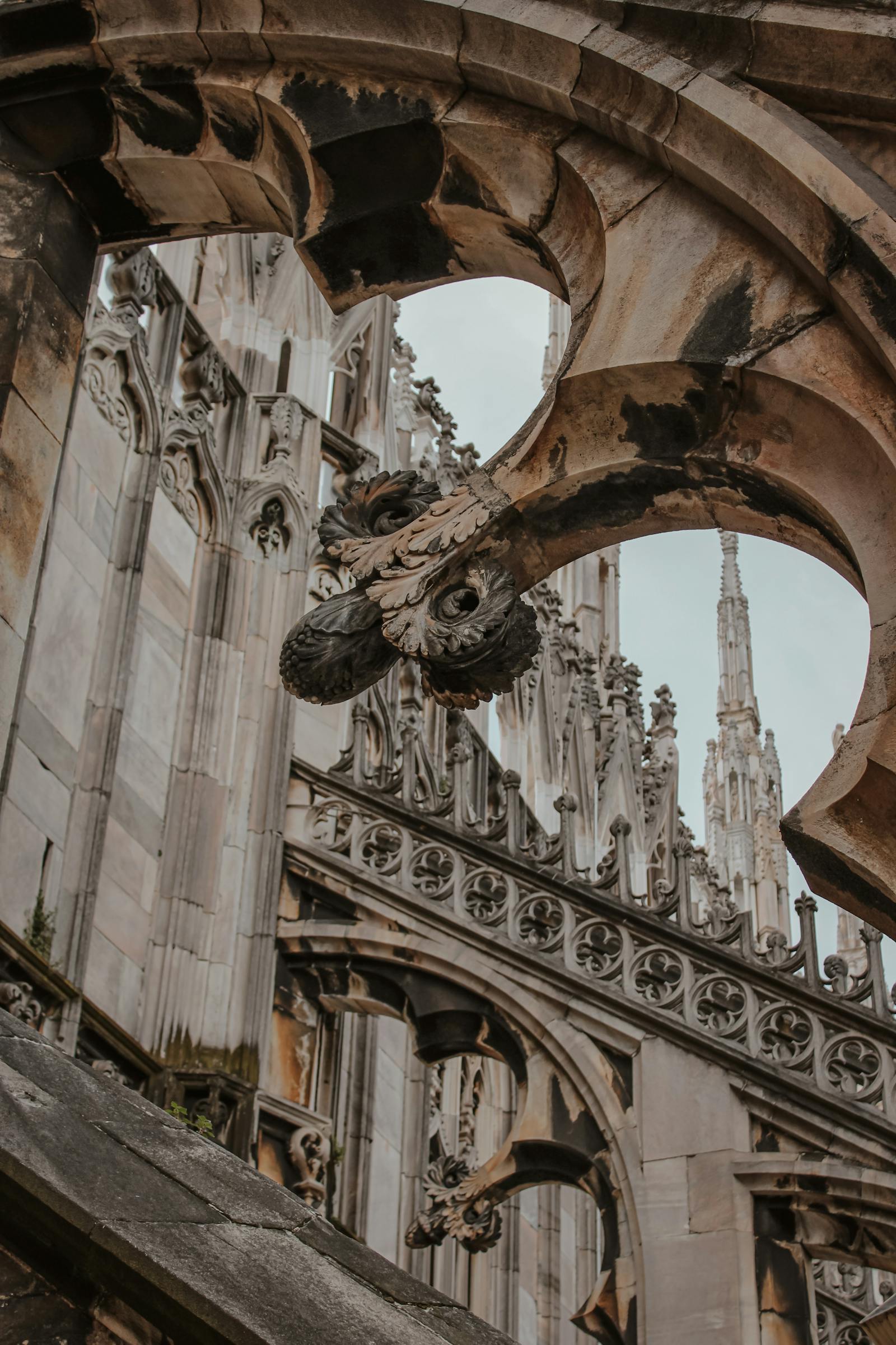 Untitled Design Photos, Download The BEST Free Untitled Design Stock ...