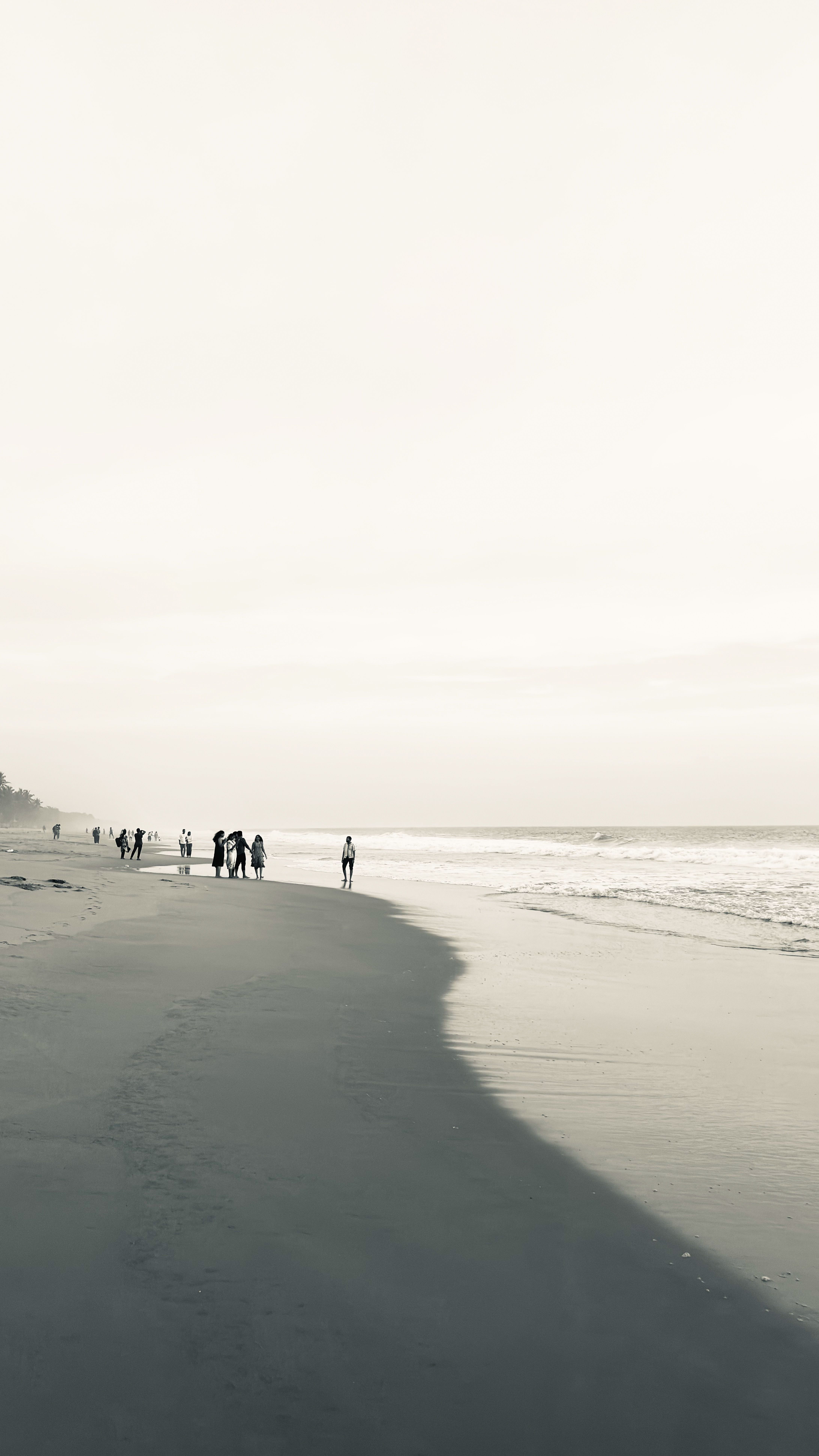 High Contrast Photos, Download The BEST Free High Contrast Stock Photos ...