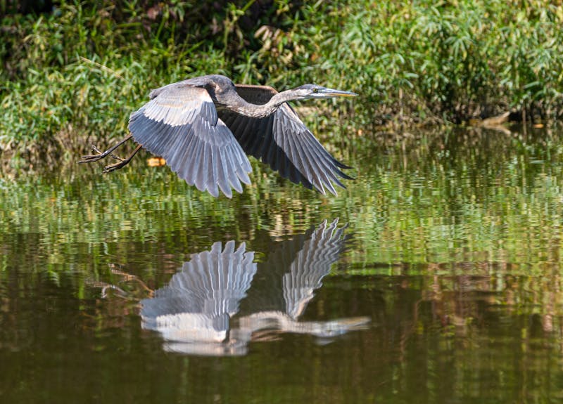 Nature High Resolution Photos, Download The BEST Free Nature High Resolution Stock Photos & HD ...