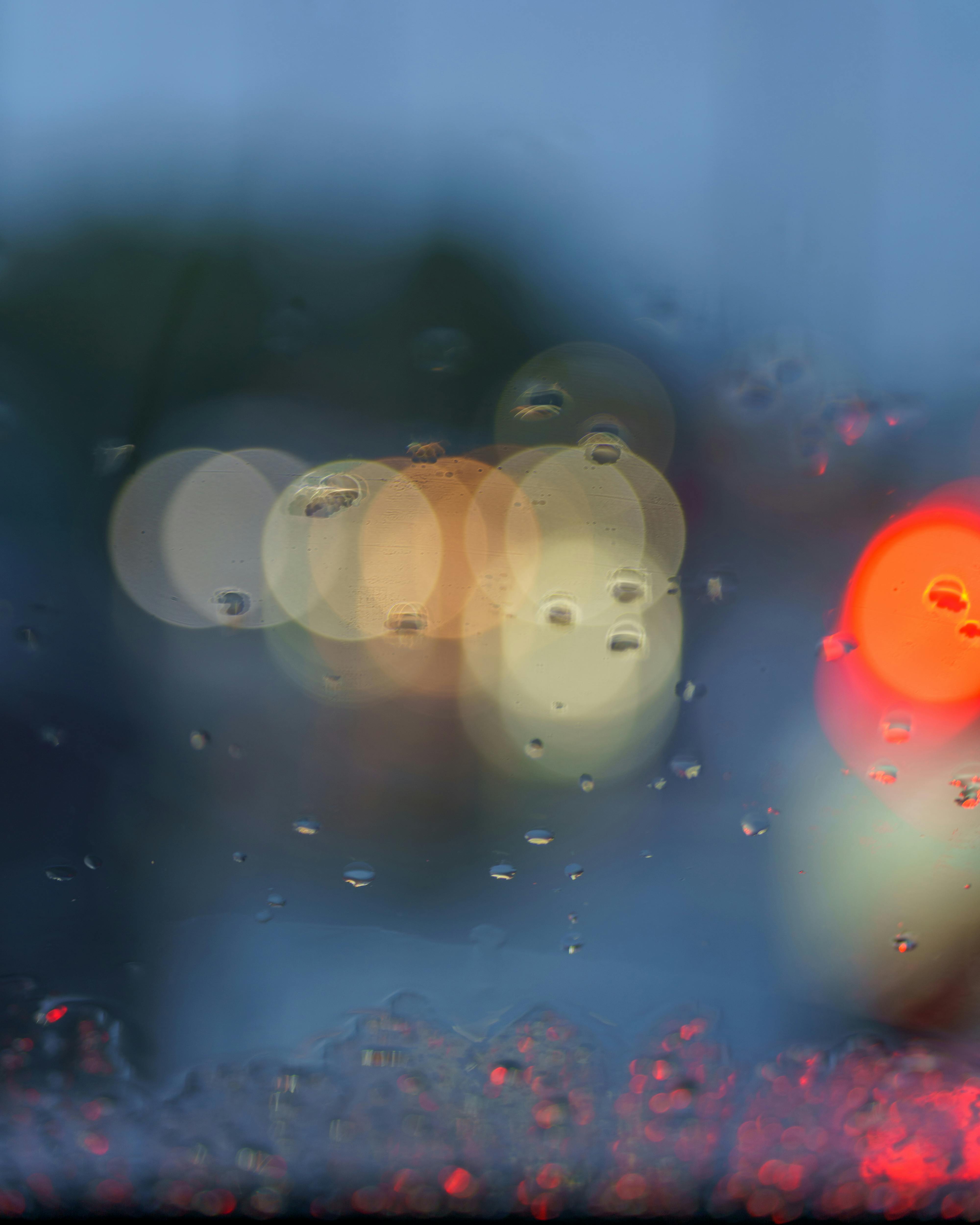 Blue Pfp Photos, Download The BEST Free Blue Pfp Stock Photos & HD Images