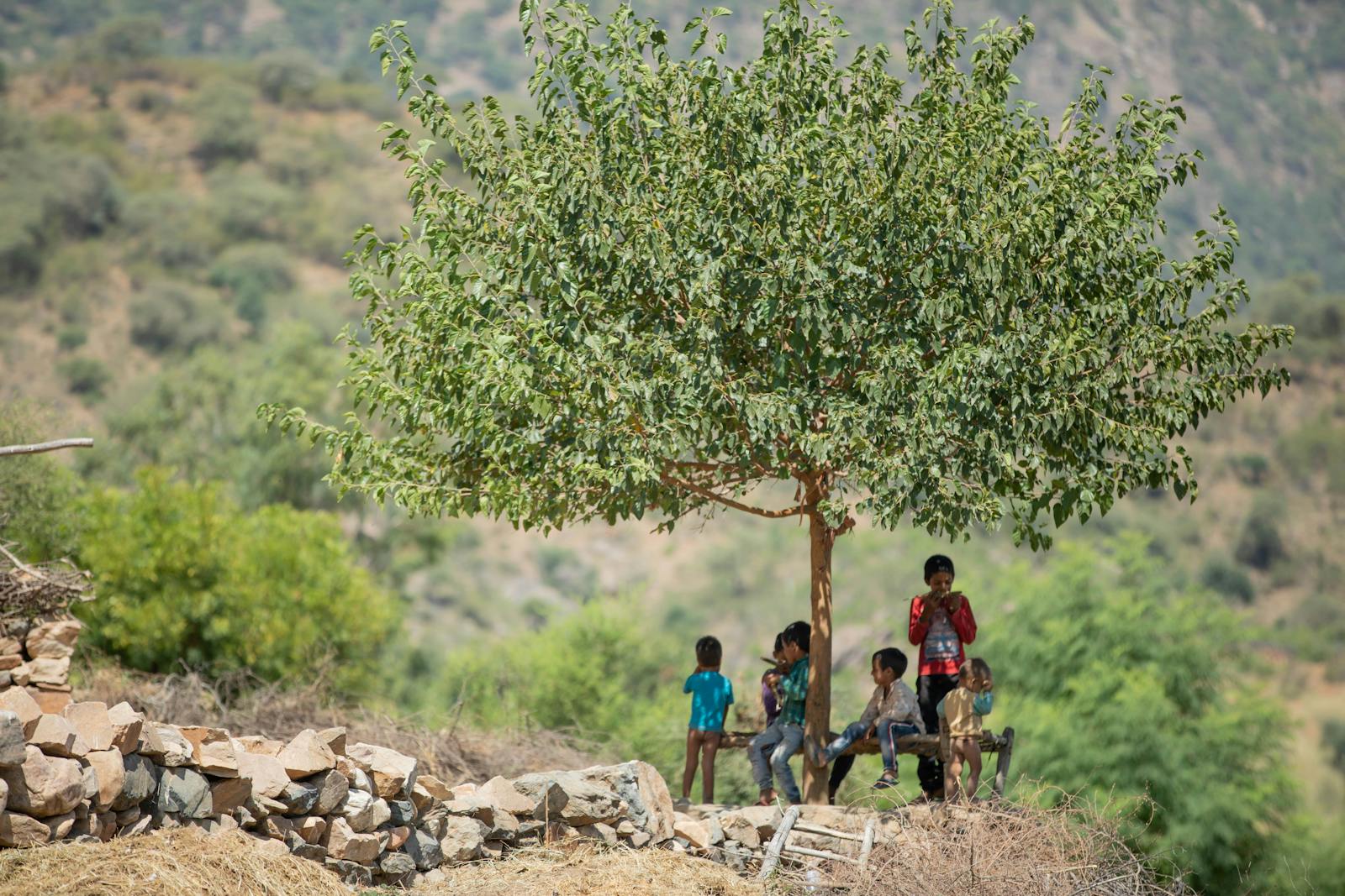 Children Creche Photos, Download The BEST Free Children Creche Stock ...