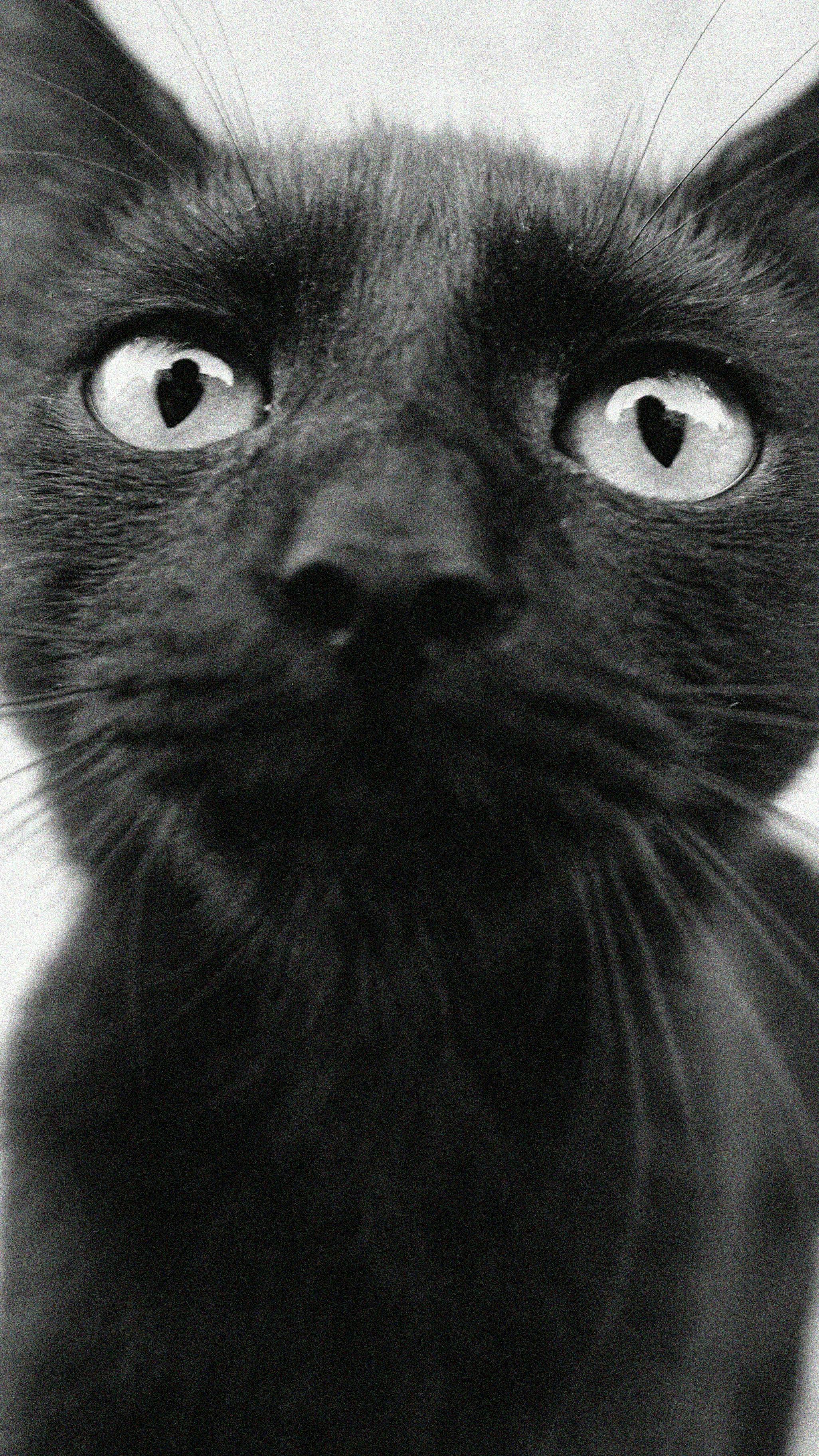 Cute+Boy+Jakol+Pinoy Photos, Download The BEST Free Cute+Boy+Jakol ...