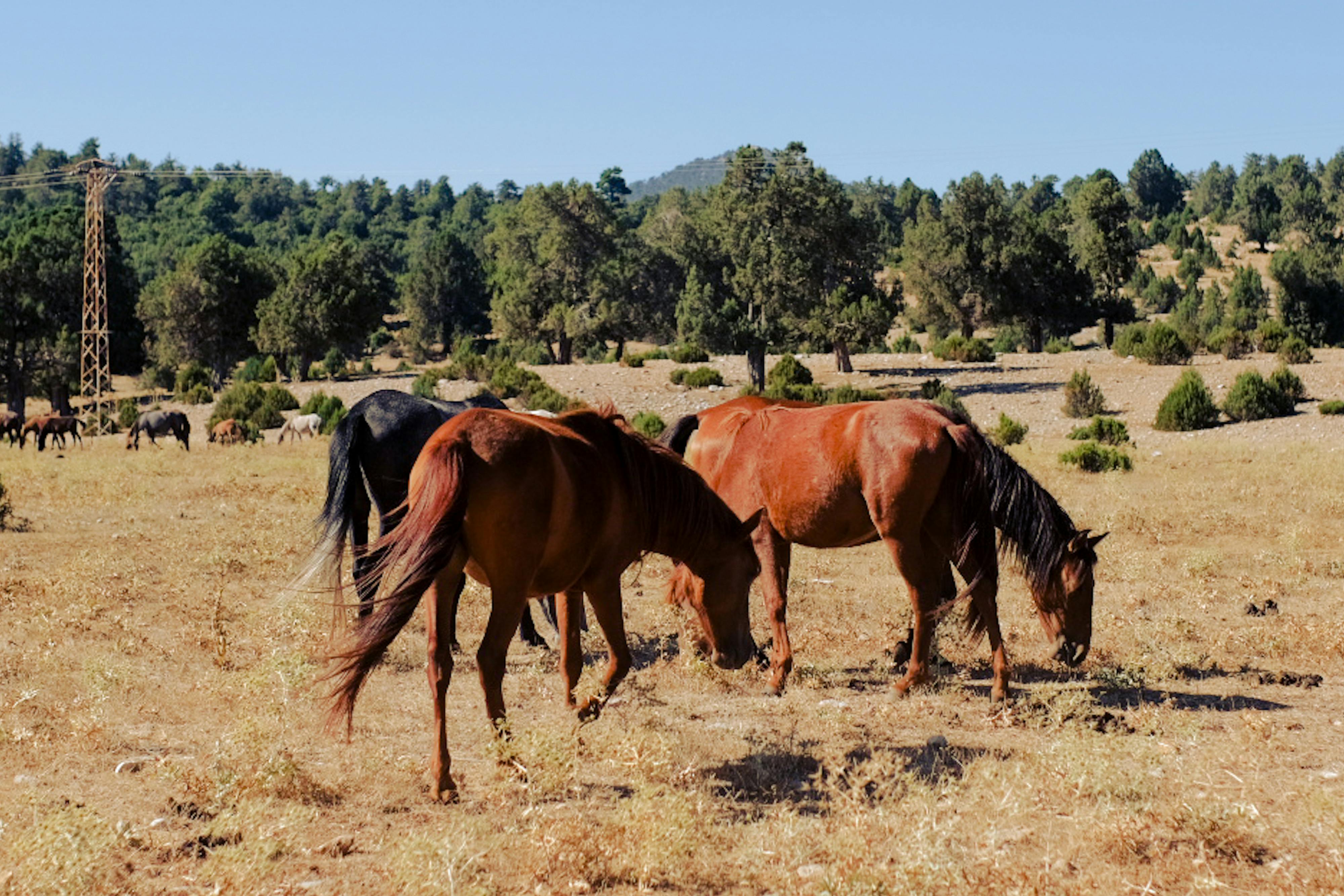 Calm Scenery Photos, Download The BEST Free Calm Scenery Stock Photos ...