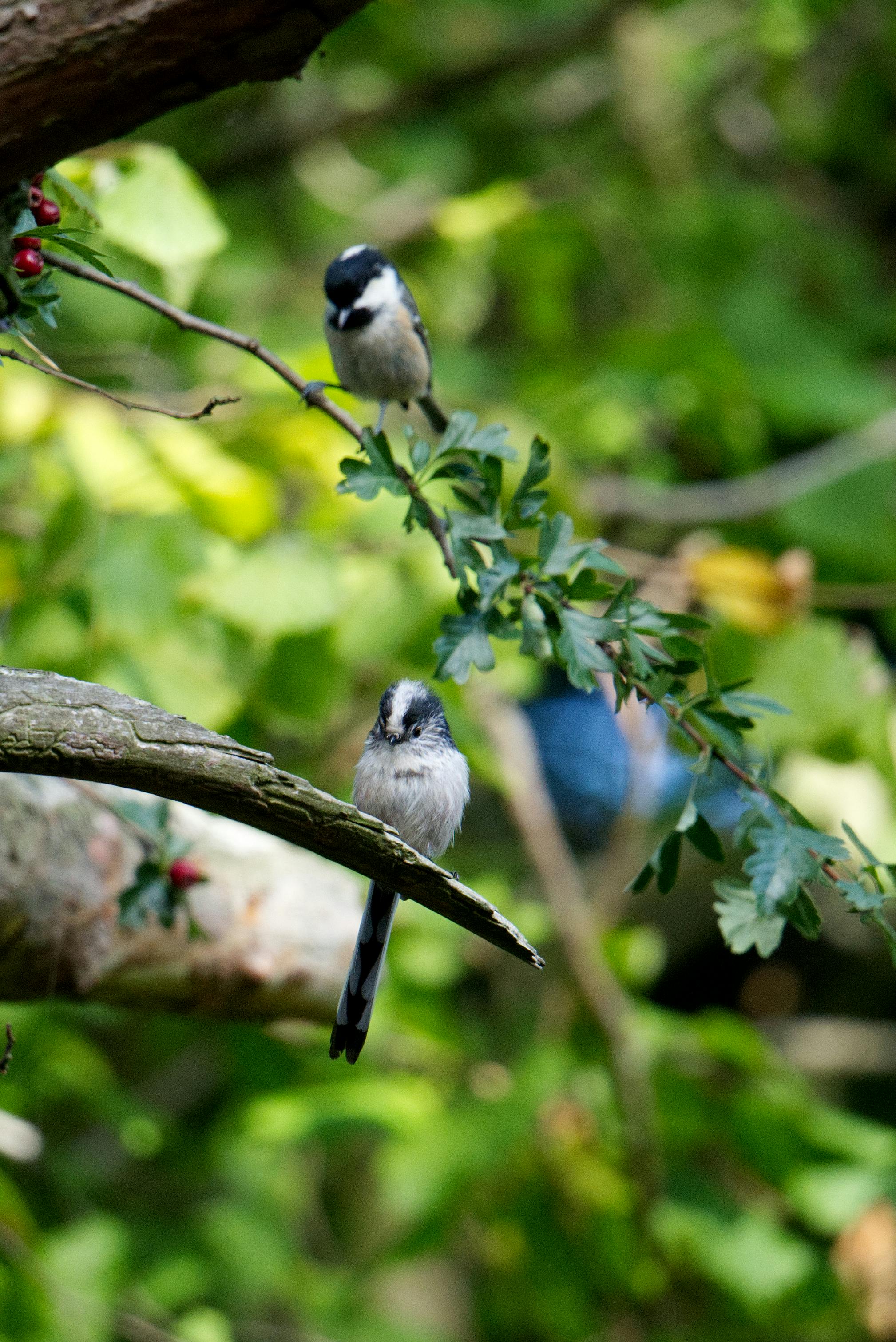 30.000+ Riesen+titten+bilder Bilder und Fotos · Kostenlos Downloaden · Pexels Stock-Fotos