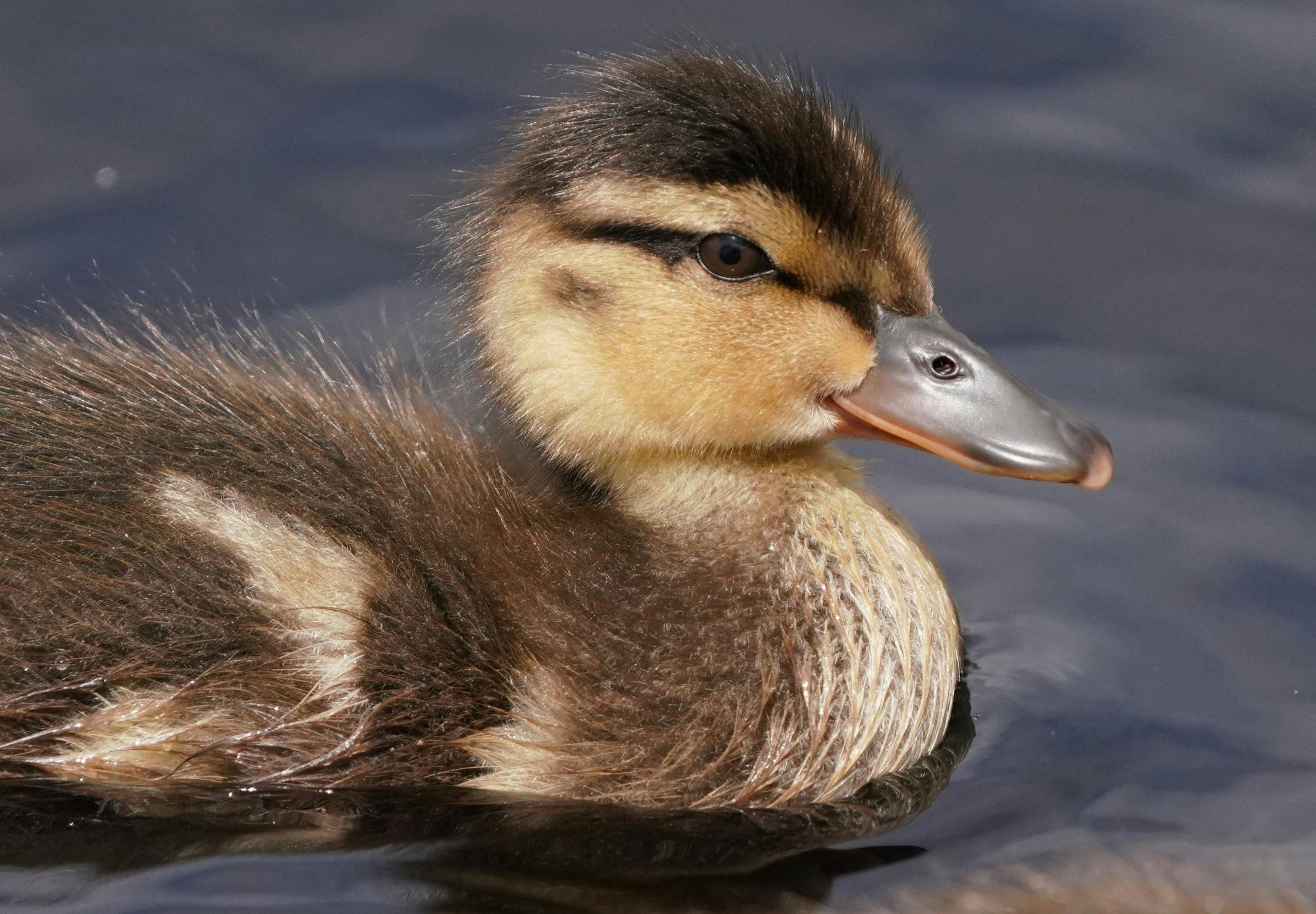 Cute+Jb+Girls Photos, Download The BEST Free Cute+Jb+Girls Stock Photos ...