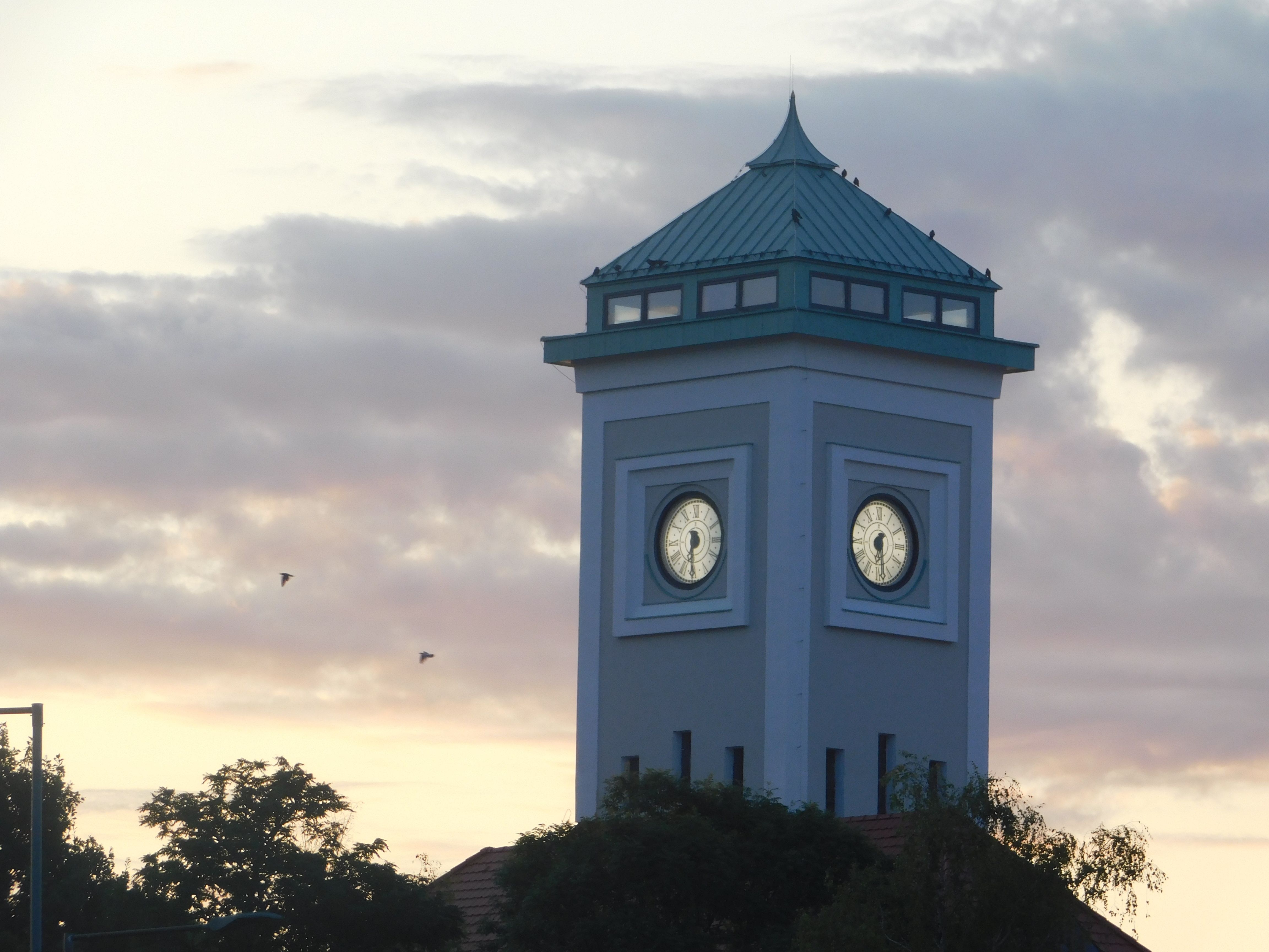 Scenic Clock Tower at Sunset with Birds · Free Stock Photo