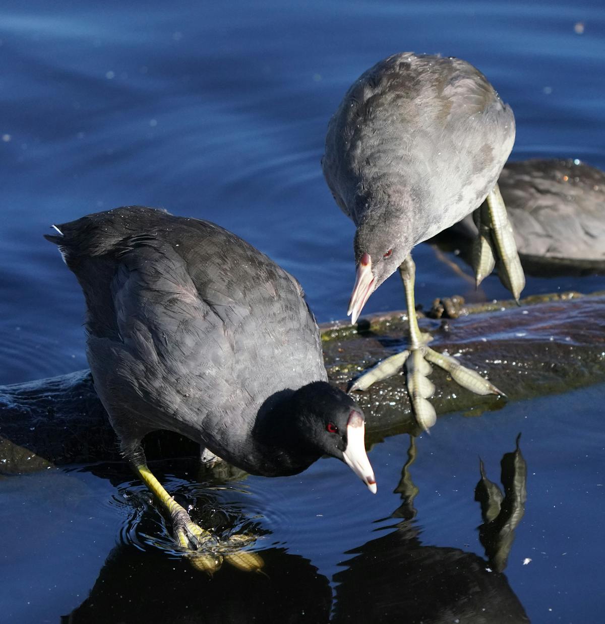 Fortnite+Feet+Pic Photos, Download The BEST Free Fortnite+Feet+Pic ...