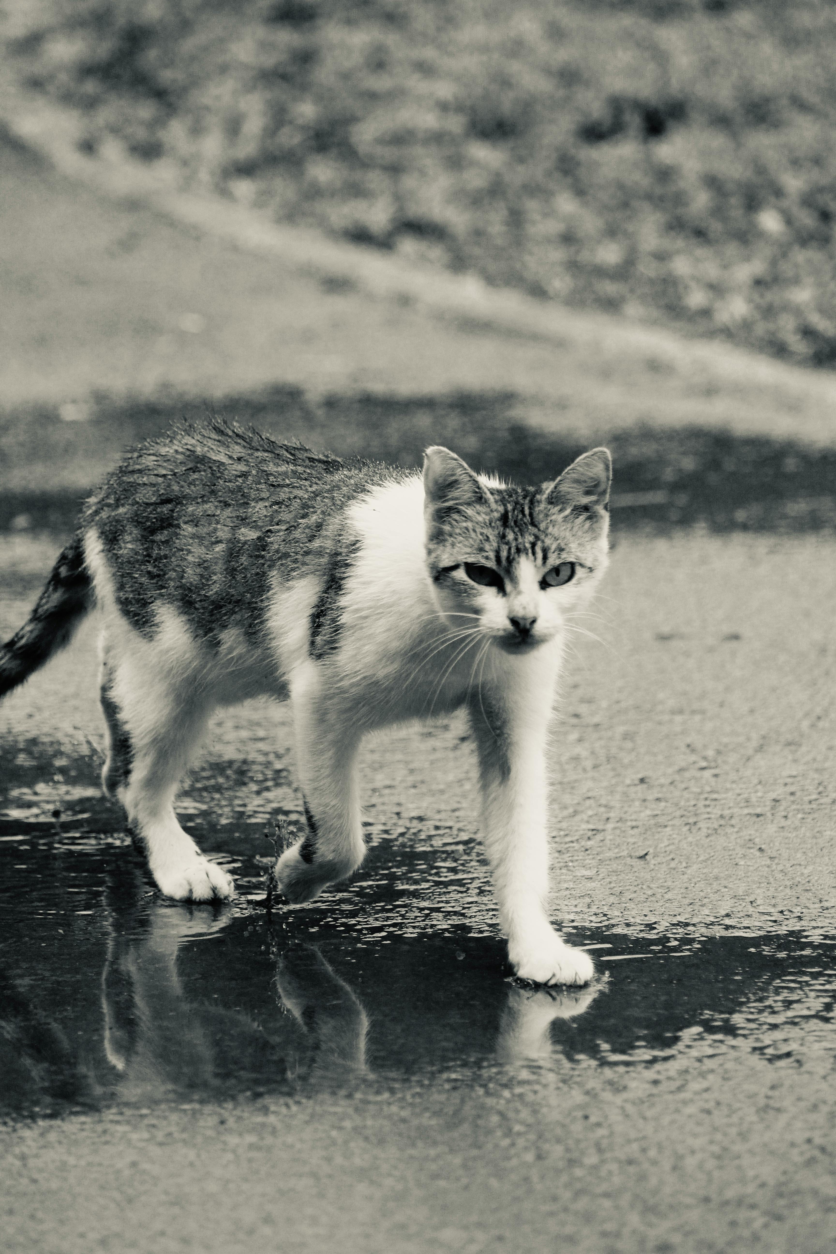 Sophie+Rain+Pics+Free Photos, Download The BEST Free Sophie+Rain+Pics ...