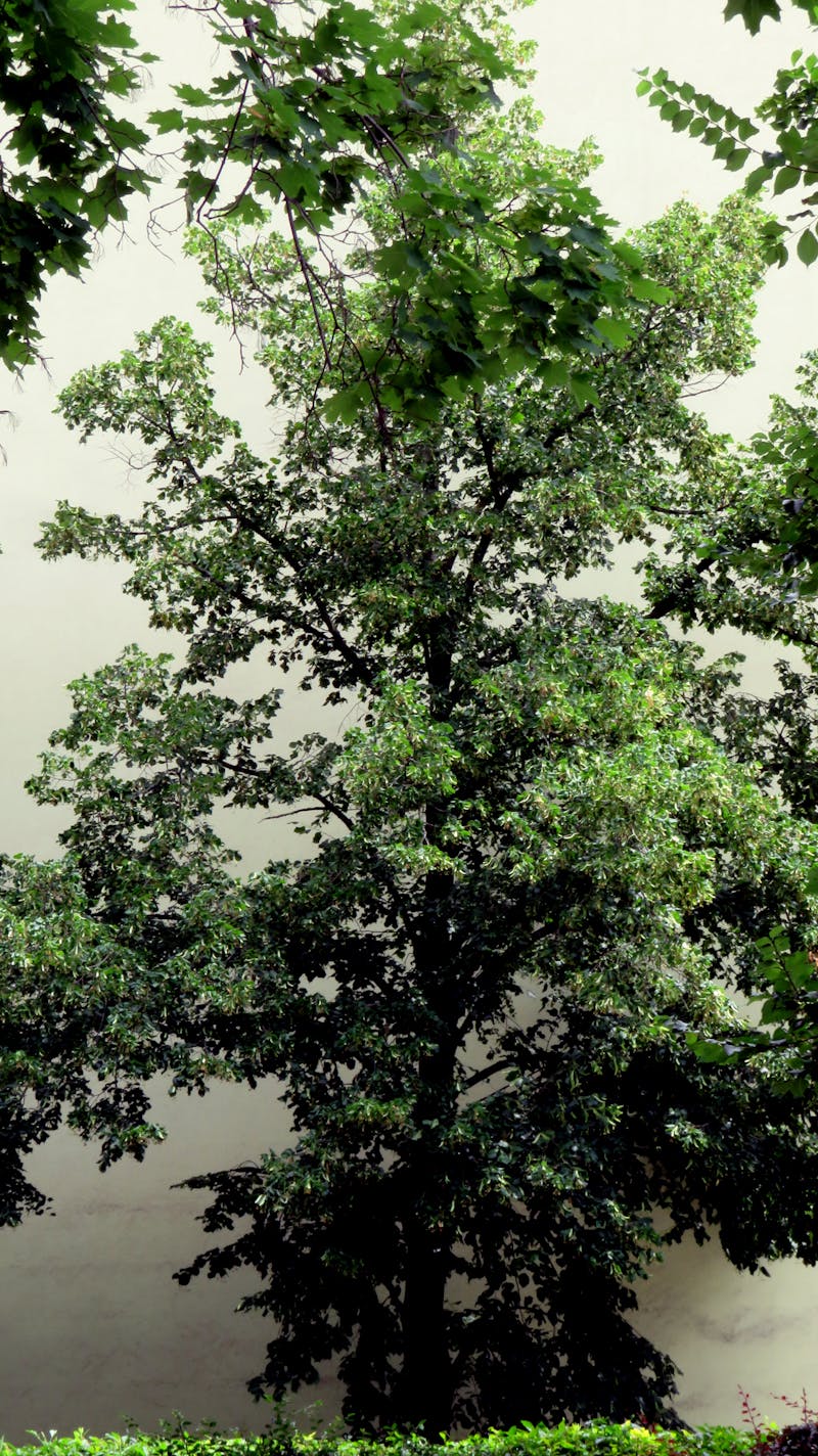 Unsplashed+Images Photos, Download The BEST Free Unsplashed+Images ...