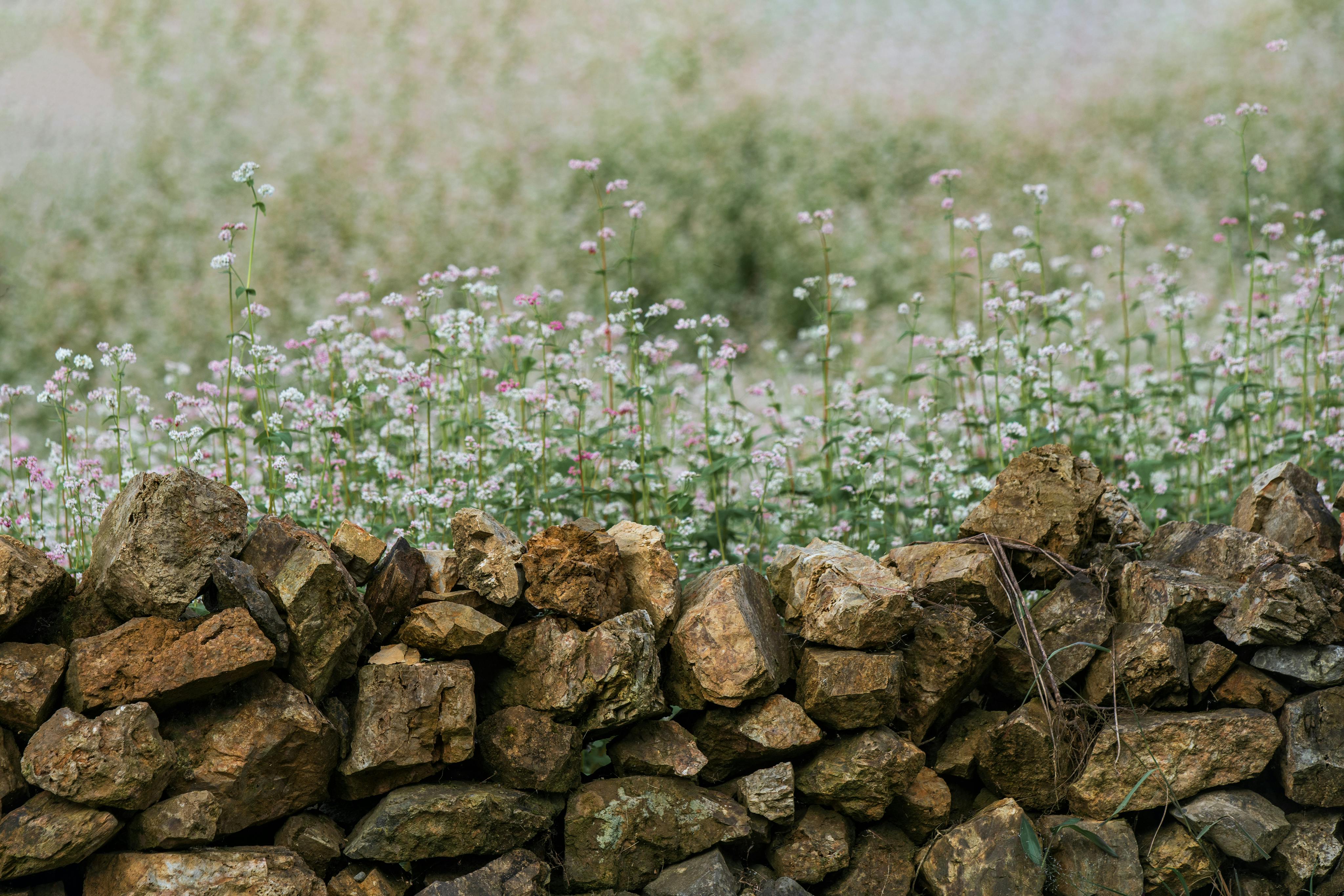 Gfx Background Photos, Download The BEST Free Gfx Background Stock ...