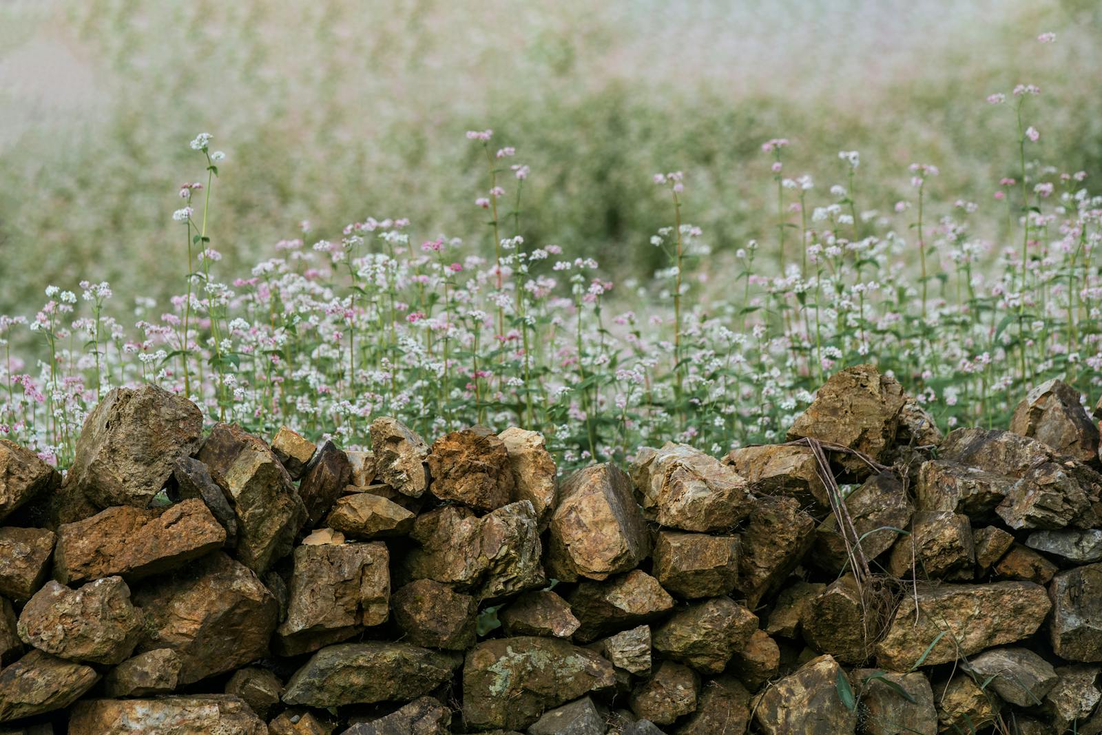 Viber Background Photos, Download The BEST Free Viber Background Stock ...